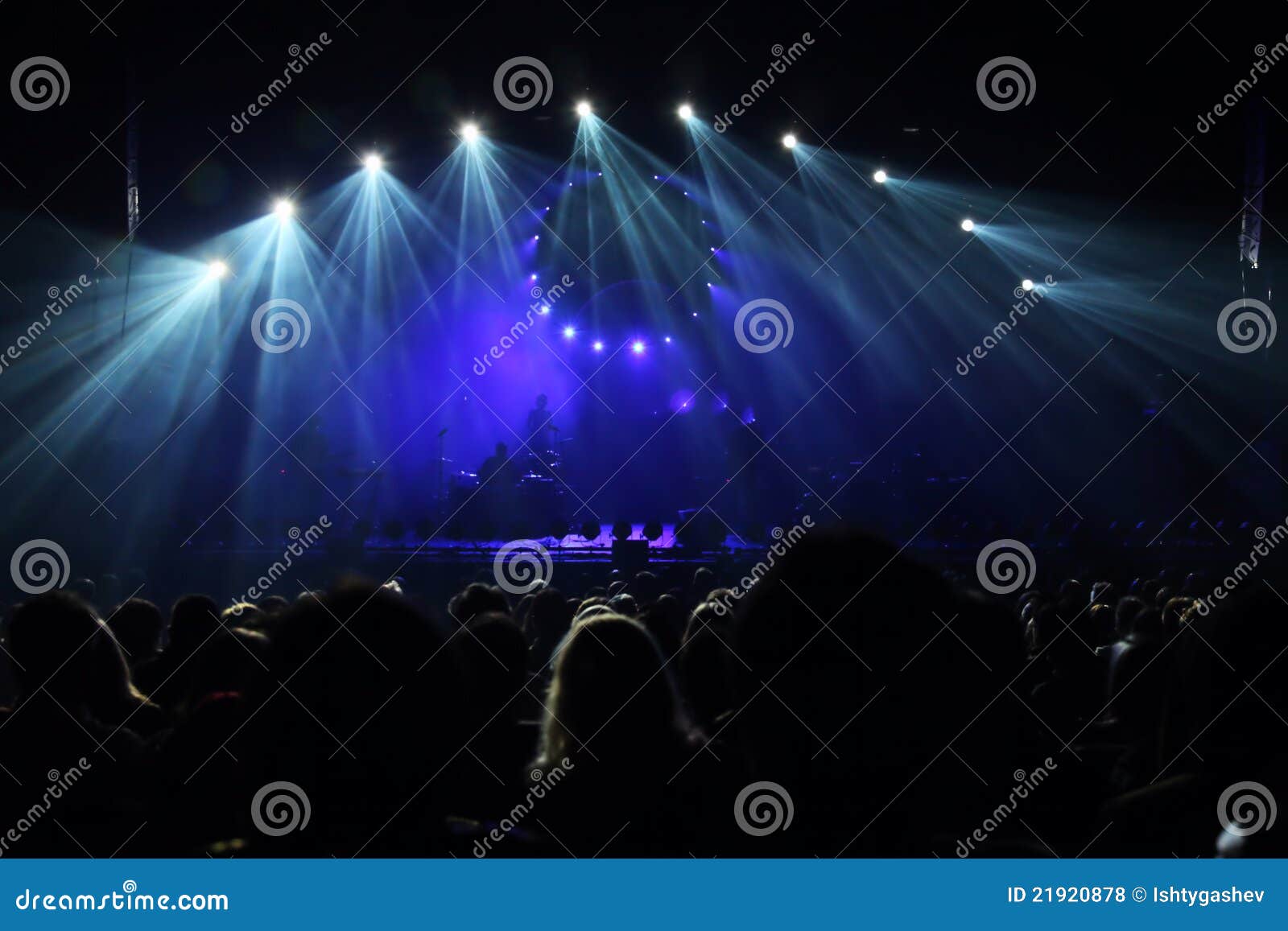 Concert stock photo. Image of band, party, festival, acting - 21920878