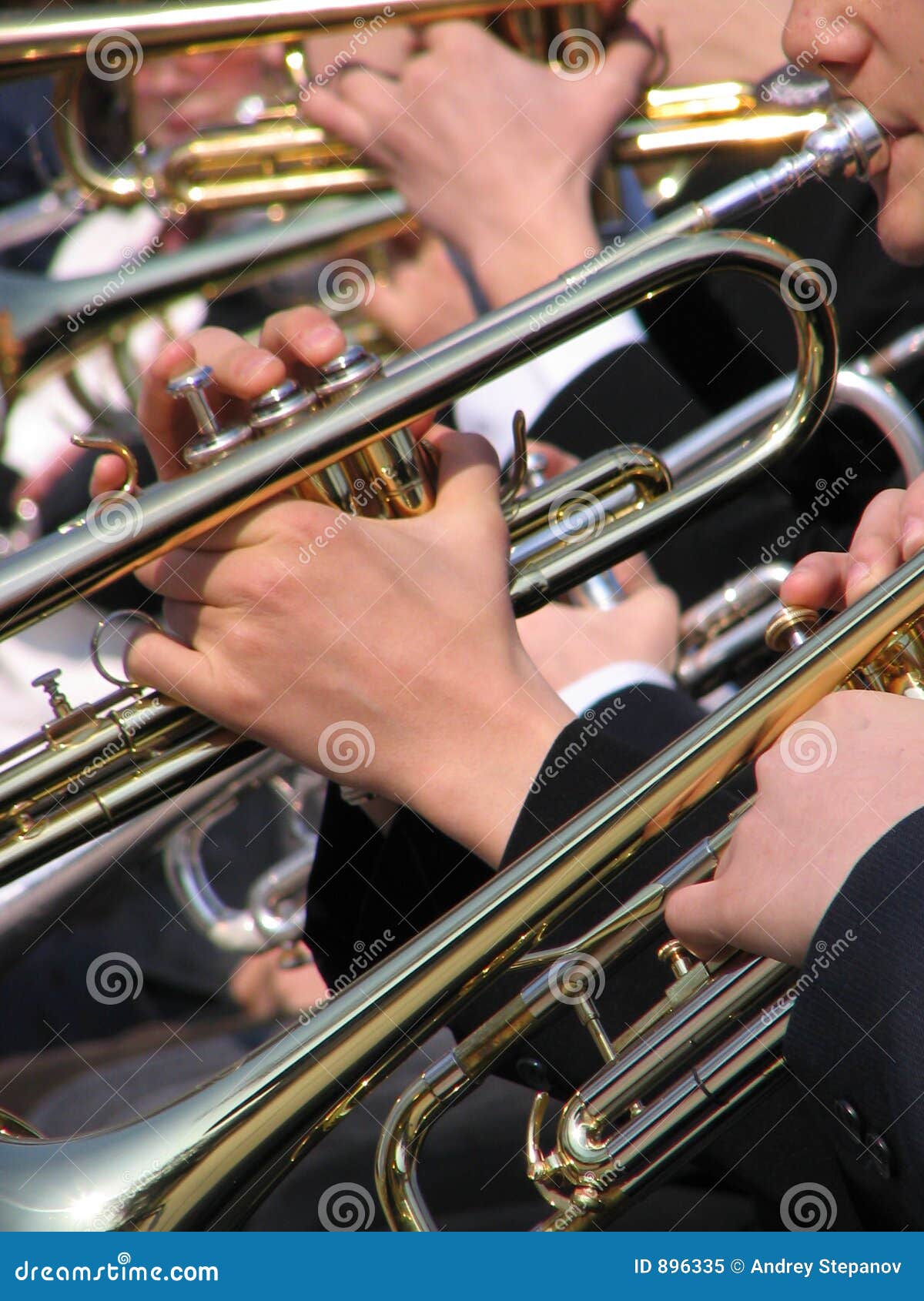 Concert stock image. Image of auditory, orchestra, brass - 896335