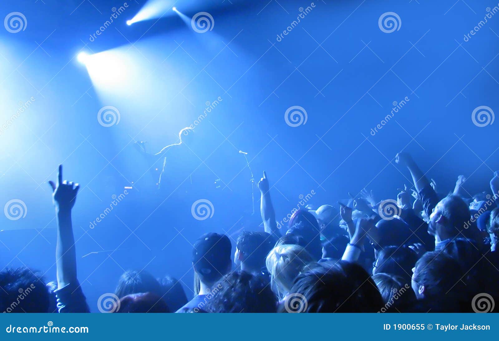 Concert Cheers editorial image. Image of punk, full, rock - 1900655