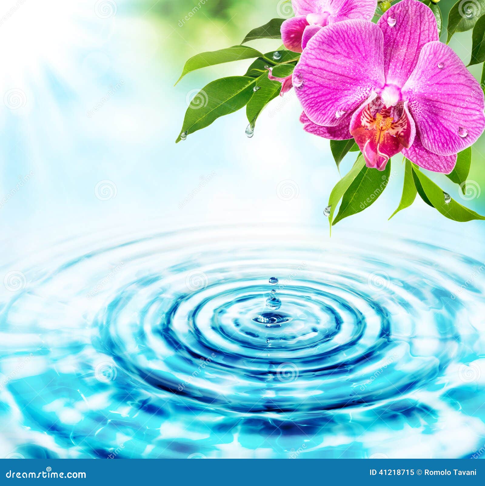 Concetto di freschezza immagine stock. Immagine di pulito - 41218715