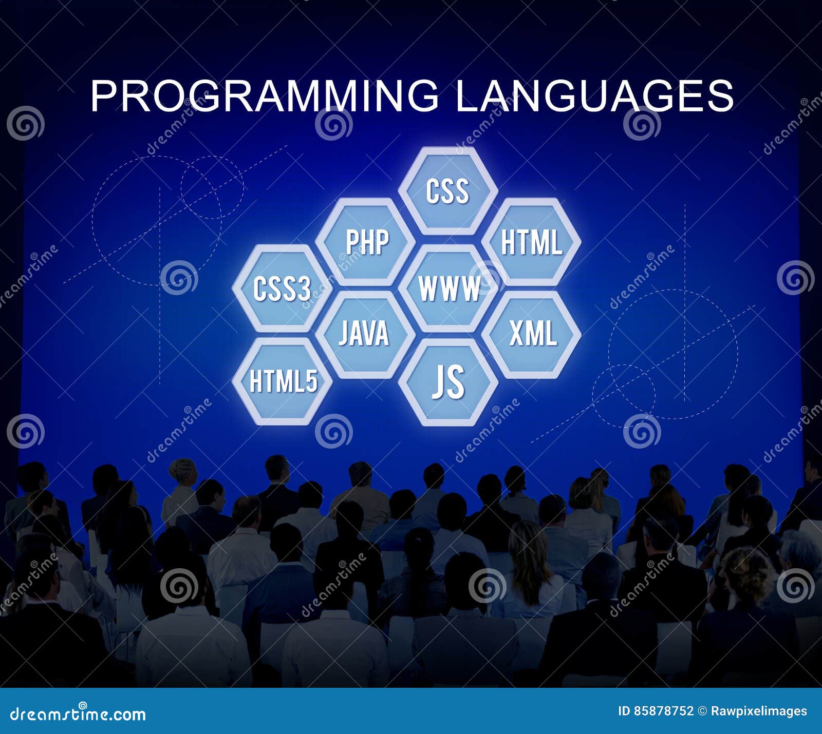 Concetto Di Software Dello Sviluppatore Di Codifica Di Linguaggio Di ...