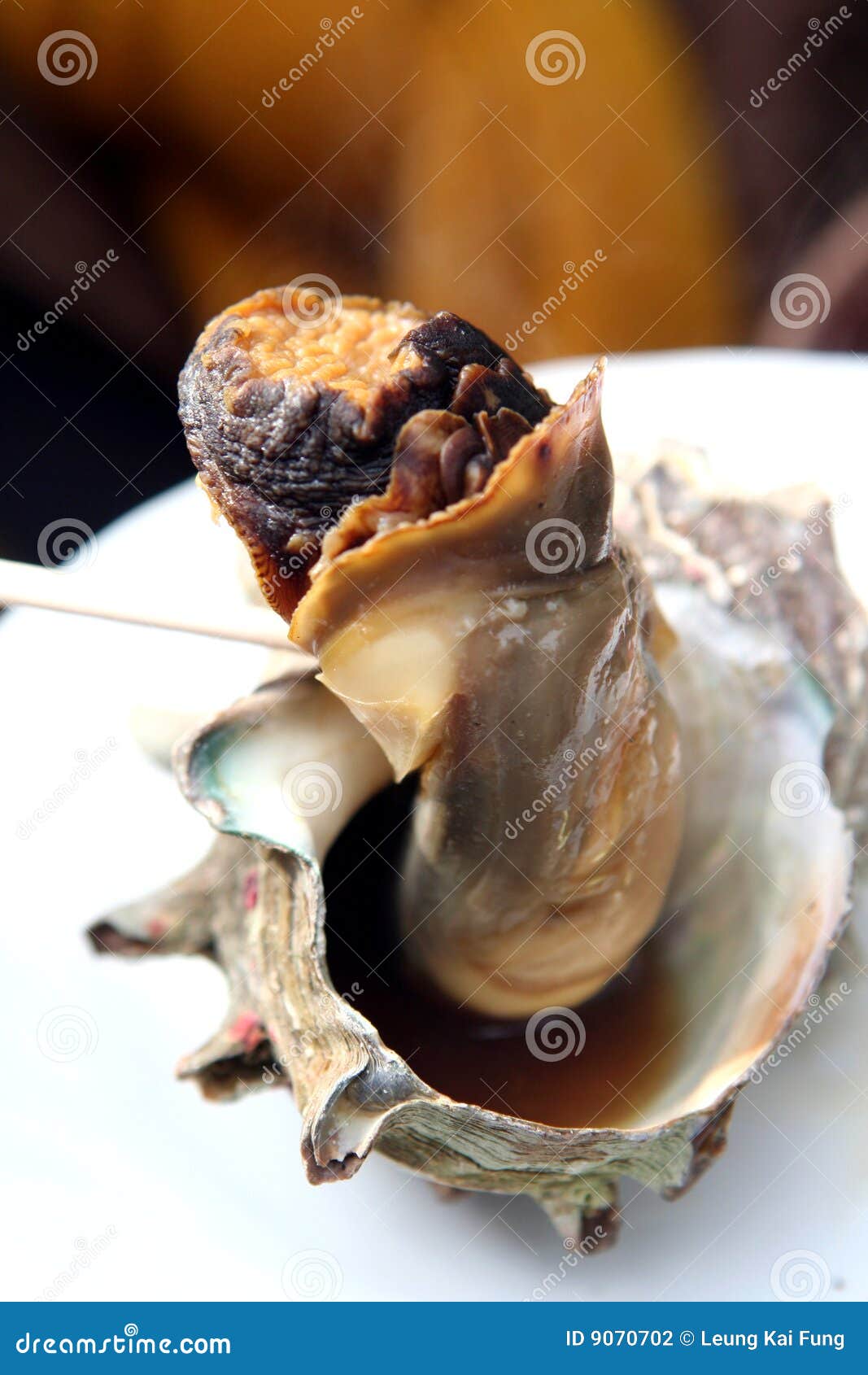 Conch barbecue stock photo. Image of conch, barbecue, food - 9070702