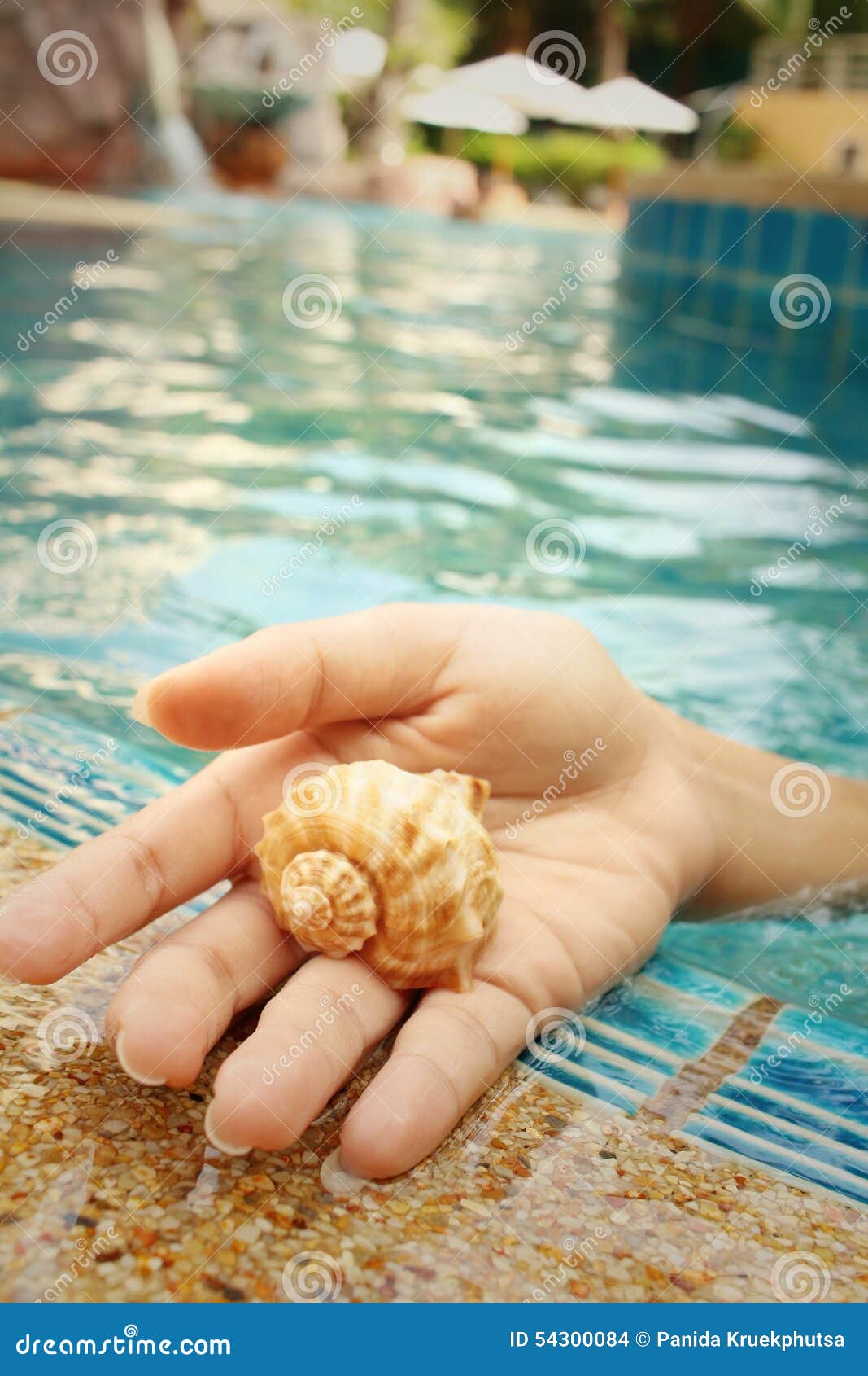 Conch in Hand of Woman at Swimming Pool. Stock Photo - Image of brown ...