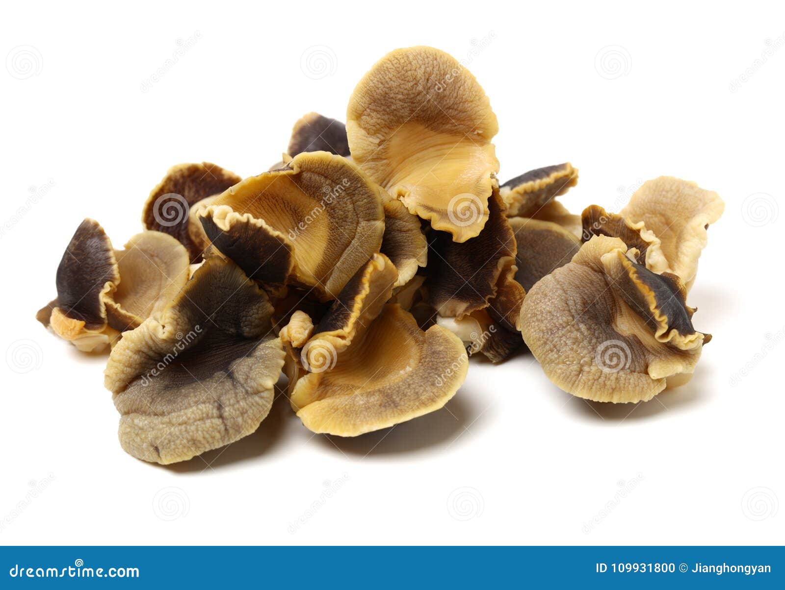 Conch meat stock photo. Image of background, meat, seafood - 109931800