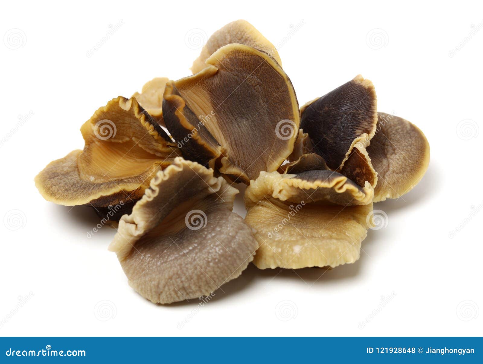 Conch meat stock photo. Image of white, steamed, isolated - 121928648