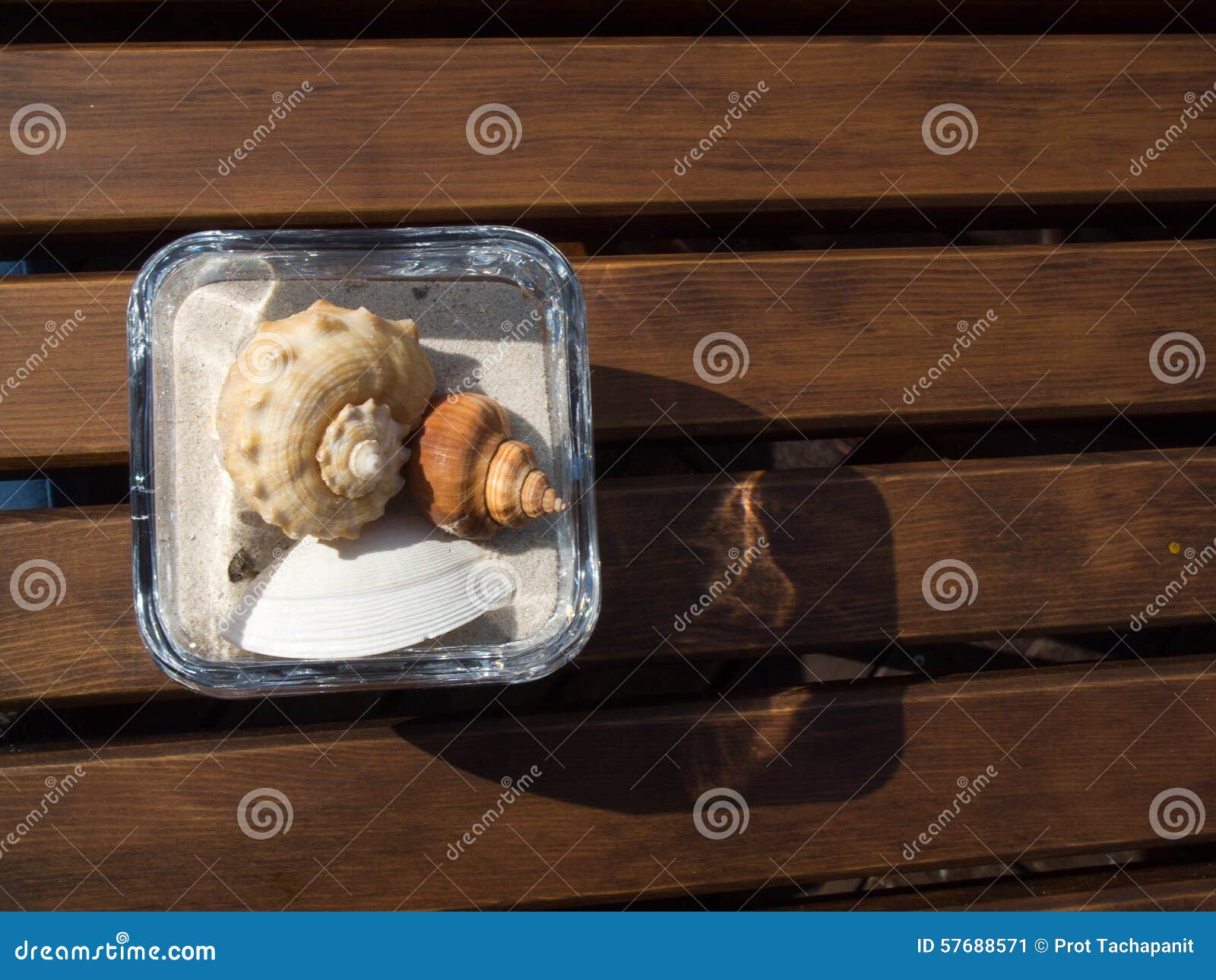 Conch in Sand Cup on the Wood Table Stock Image - Image of relax ...