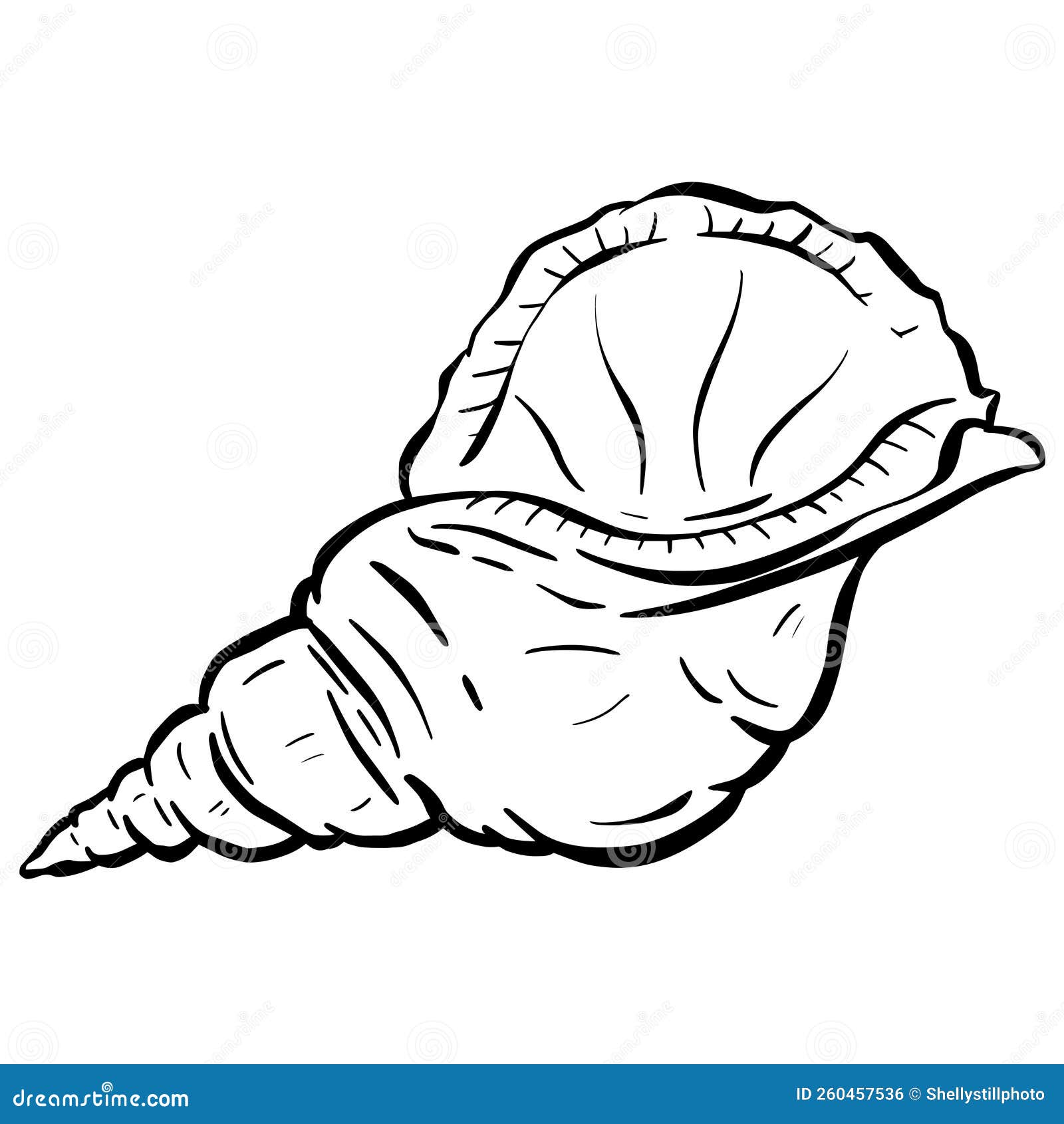 Conch Sea Snail Shell Outline Cartoon Style Logo Design in Vector Stock ...