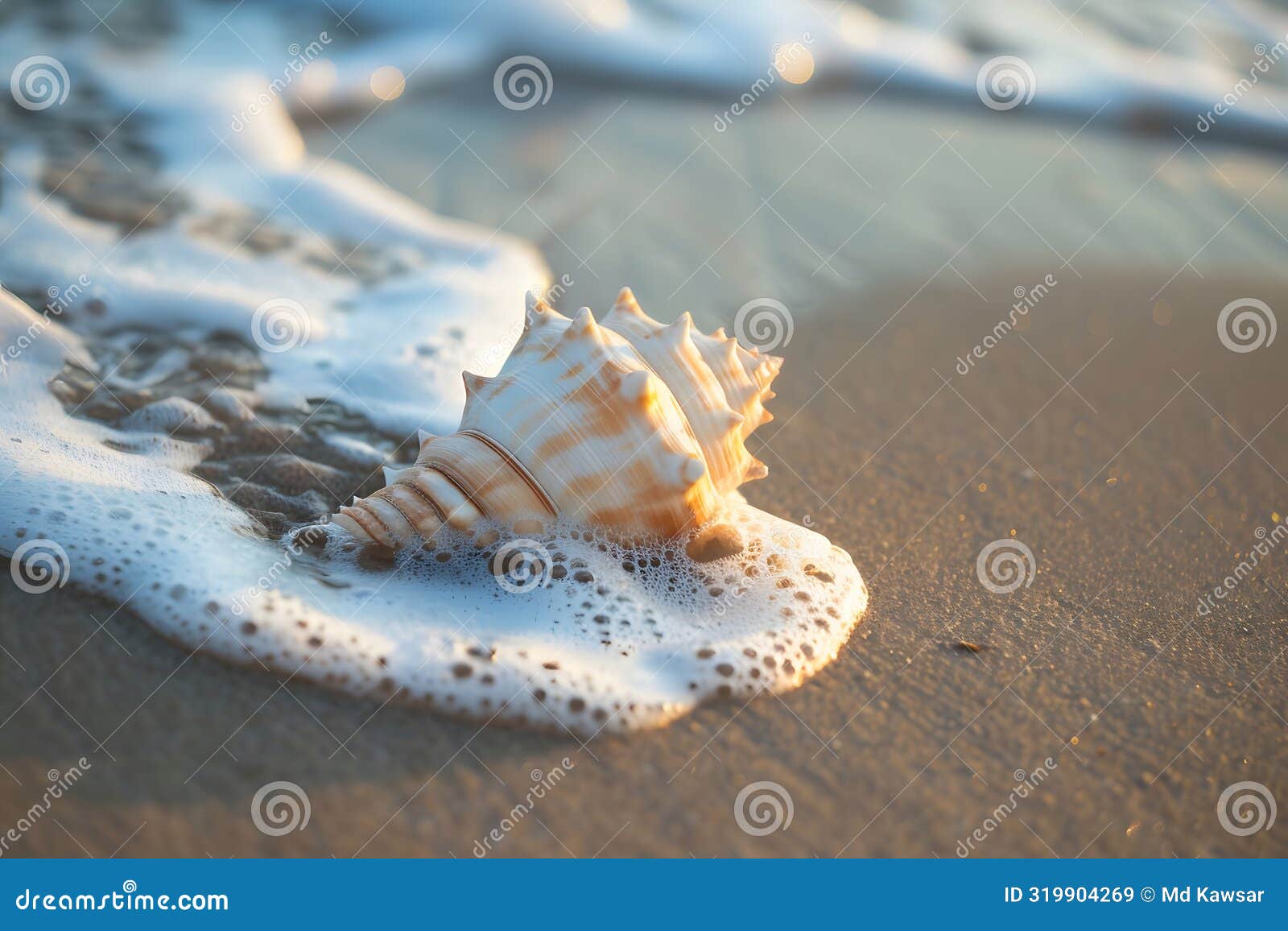 Conch Shell on Sandy Beach with Gentle Waves Stock Illustration ...