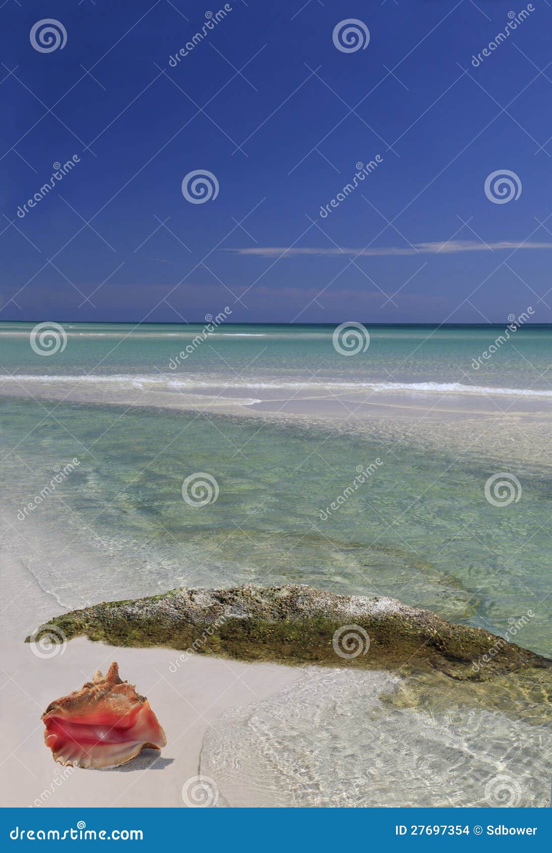 Conch Shell on a Beautiful White Sand Beach Stock Photo - Image of ...