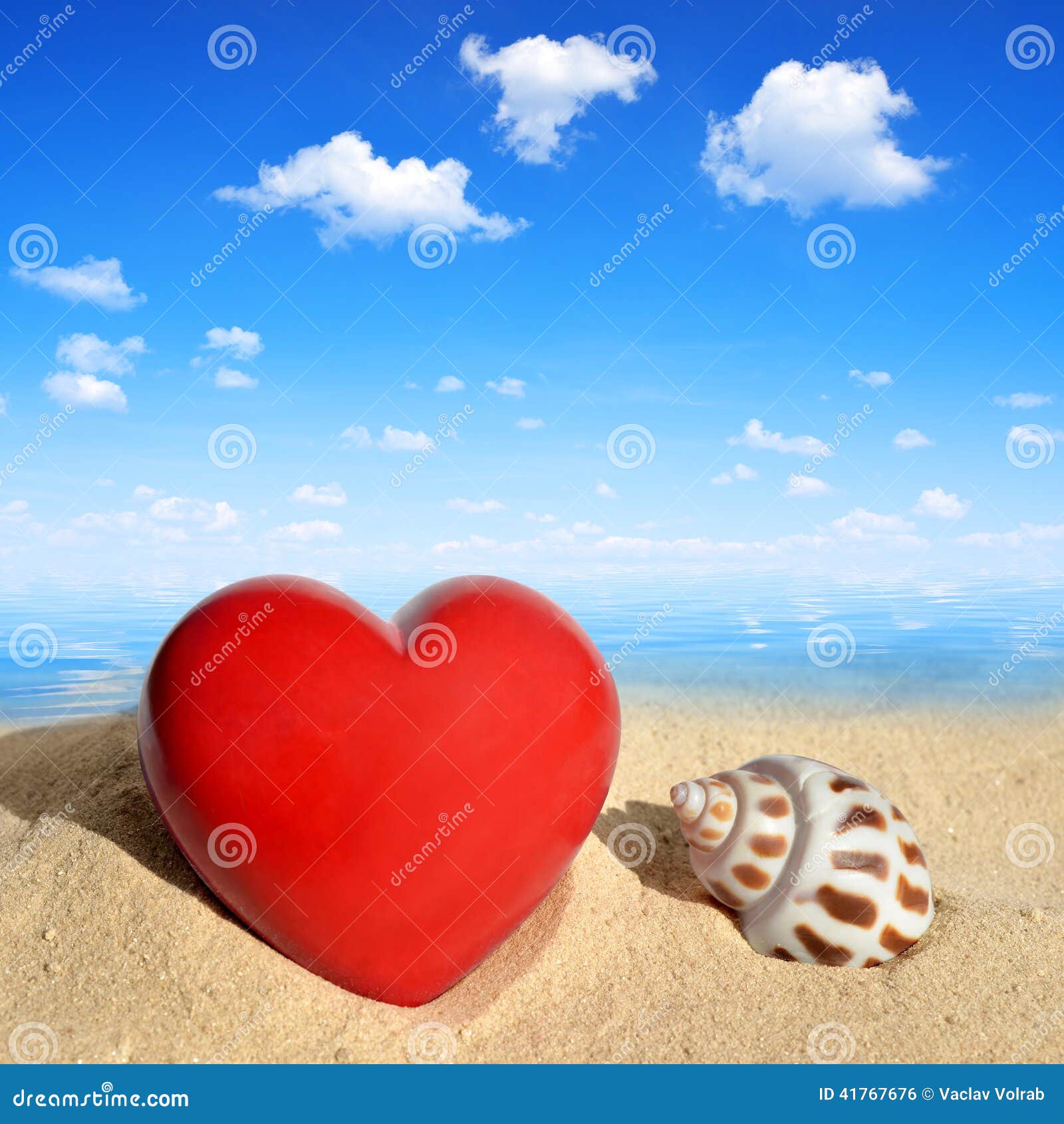 Conch shell with heart stock photo. Image of beach, cloudy - 41767676