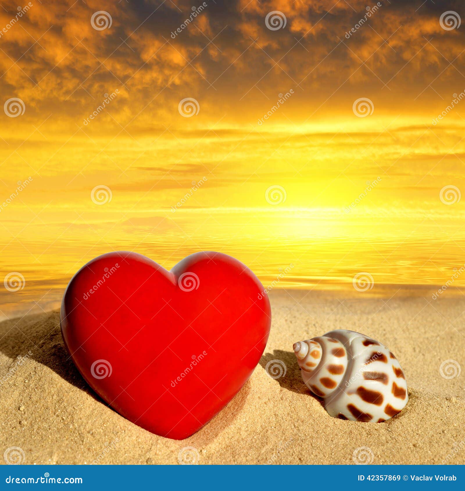 Conch shell with heart stock image. Image of outdoor - 42357869