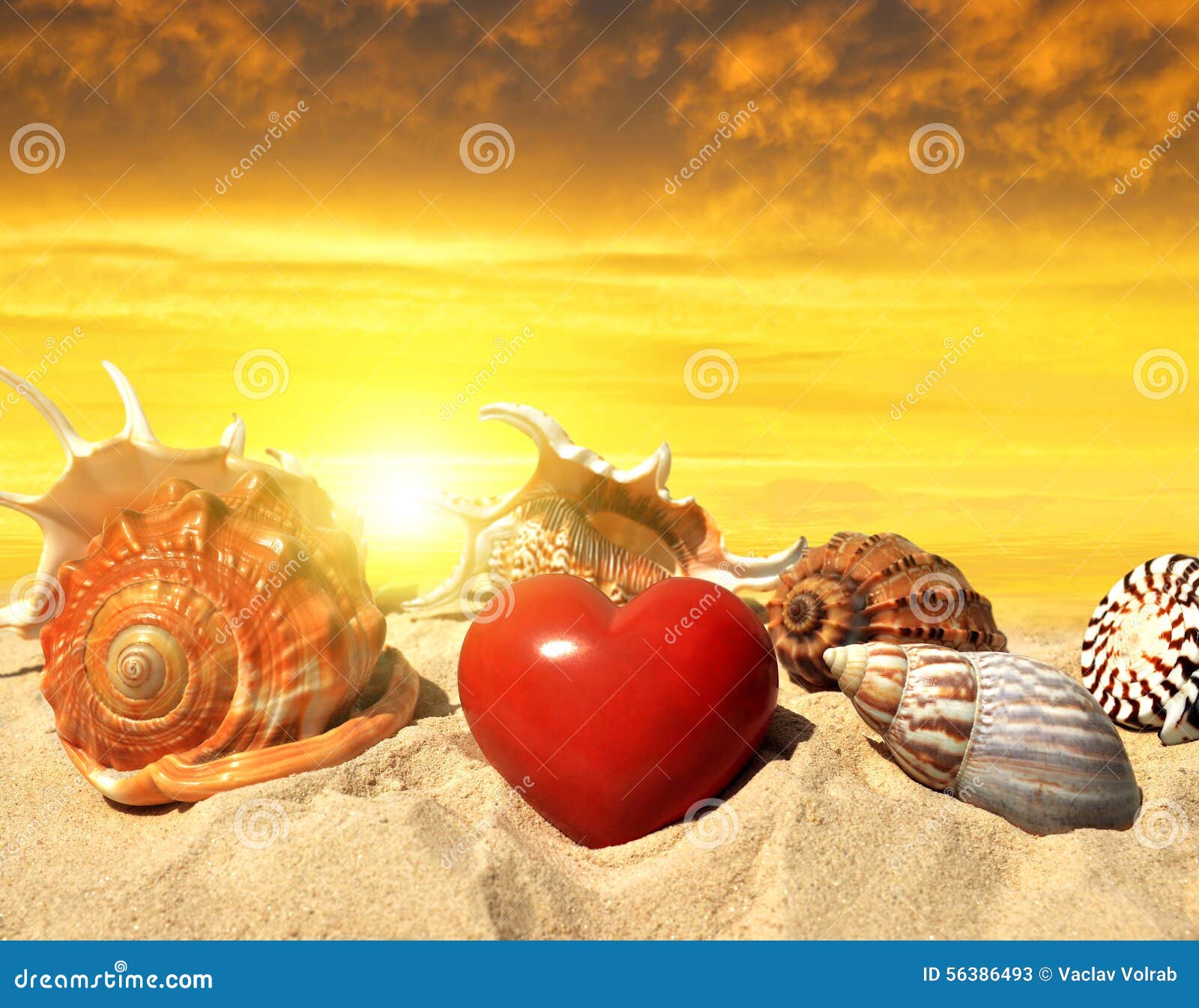 Conch Shell with Heart on Beach Stock Image - Image of seashell ...