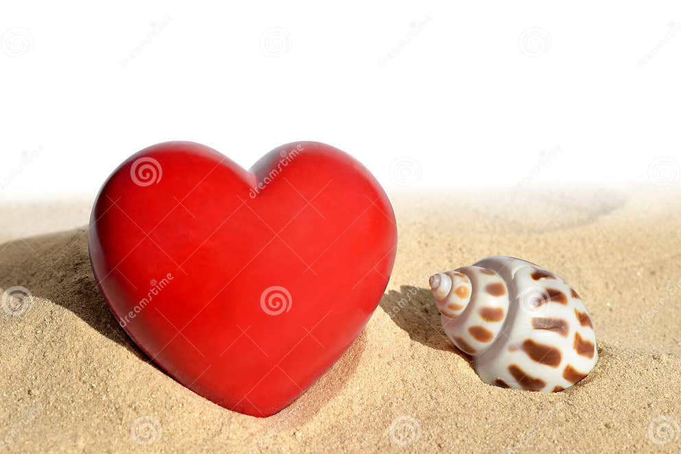 Conch Shell with Heart in Sand Stock Photo - Image of tropical, love ...