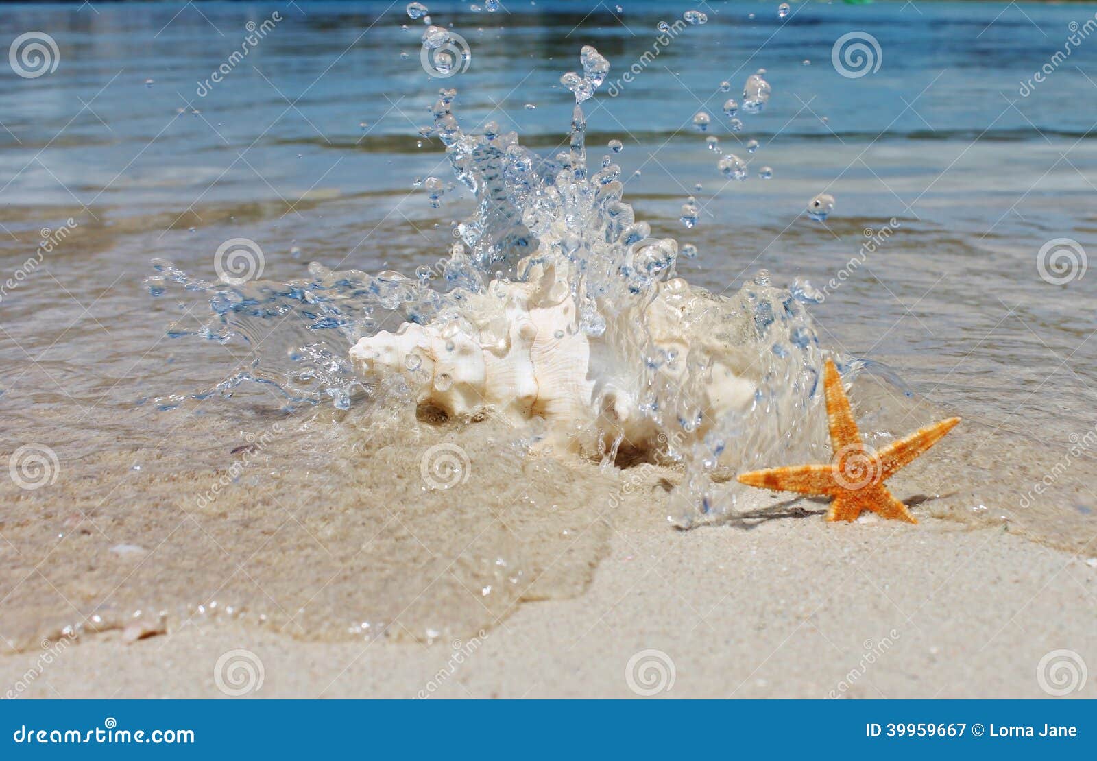 Conch Shell on Sand Beach with Sea Stock Image - Image of vacation ...