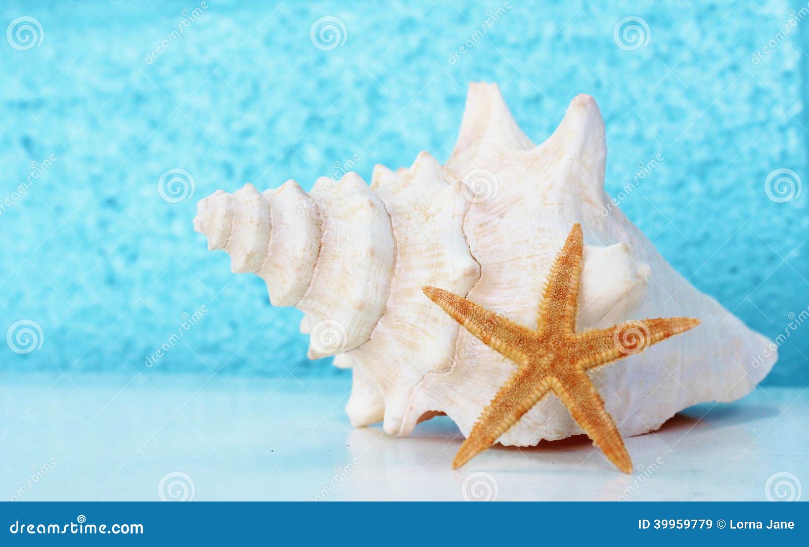 7,311 Conch Shell Blue Background Stock Photos - Free & Royalty-Free ...