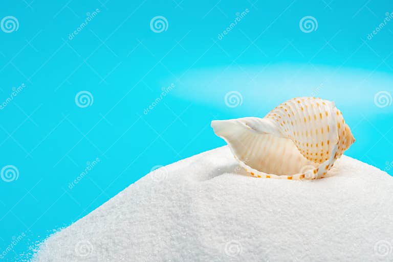 Conch Shell on White Sand on Blue Background Stock Image - Image of ...