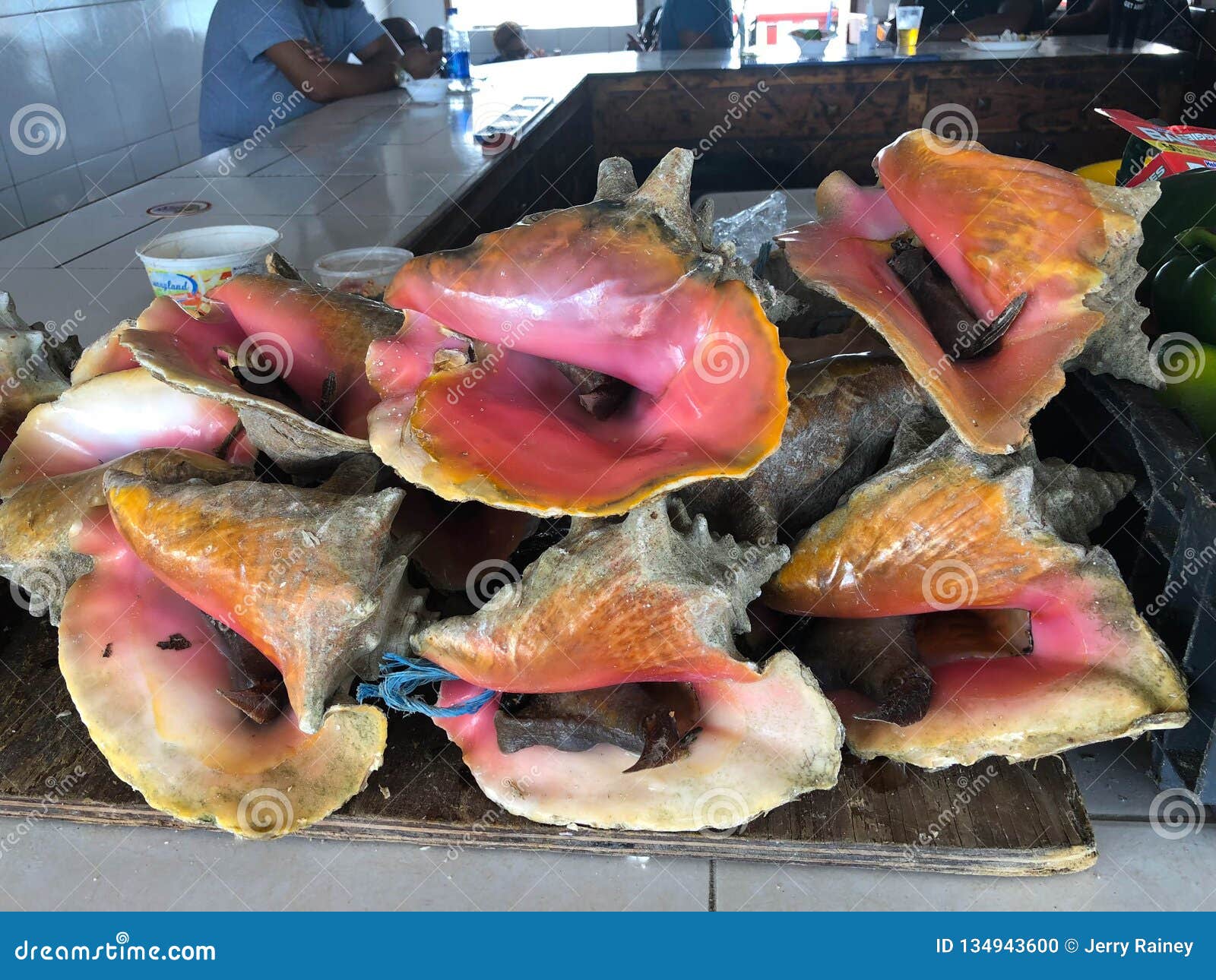 Conch Shells in a Restaurant Stock Photo - Image of activities ...