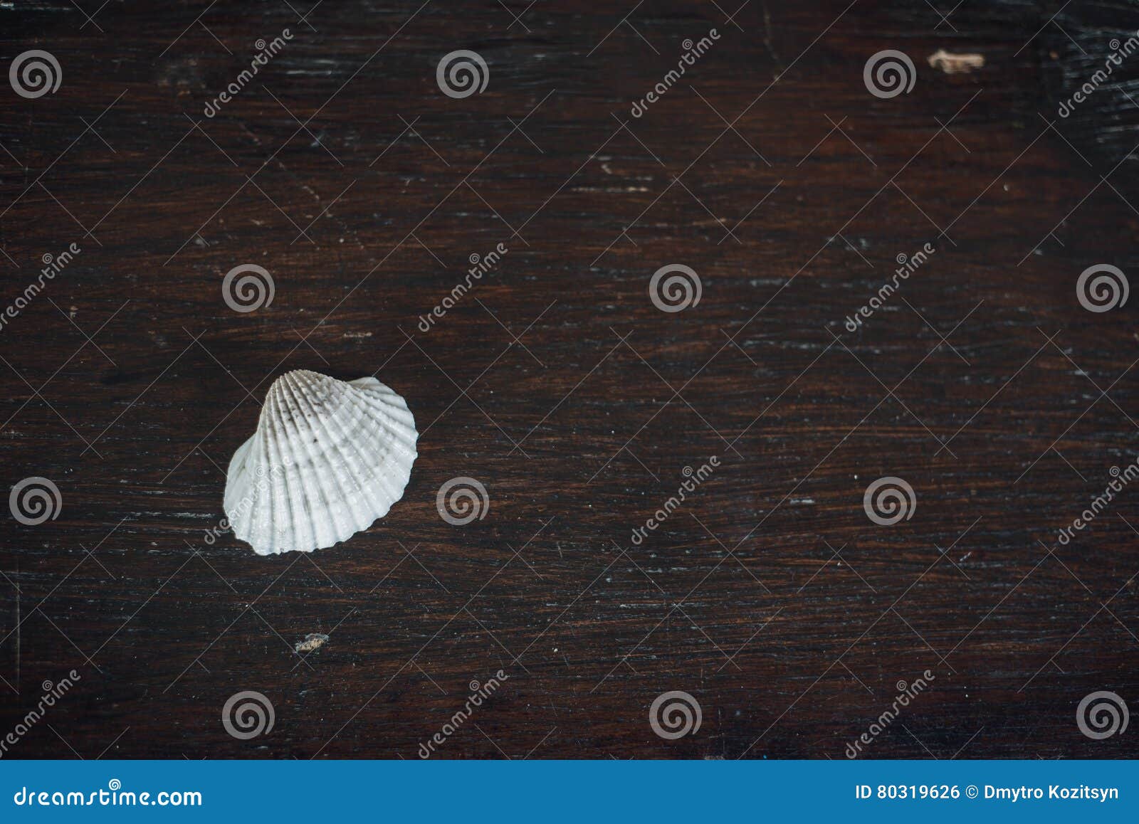 Conch and the Small Boxes on the Old Brown Wooden Table Stock Photo ...