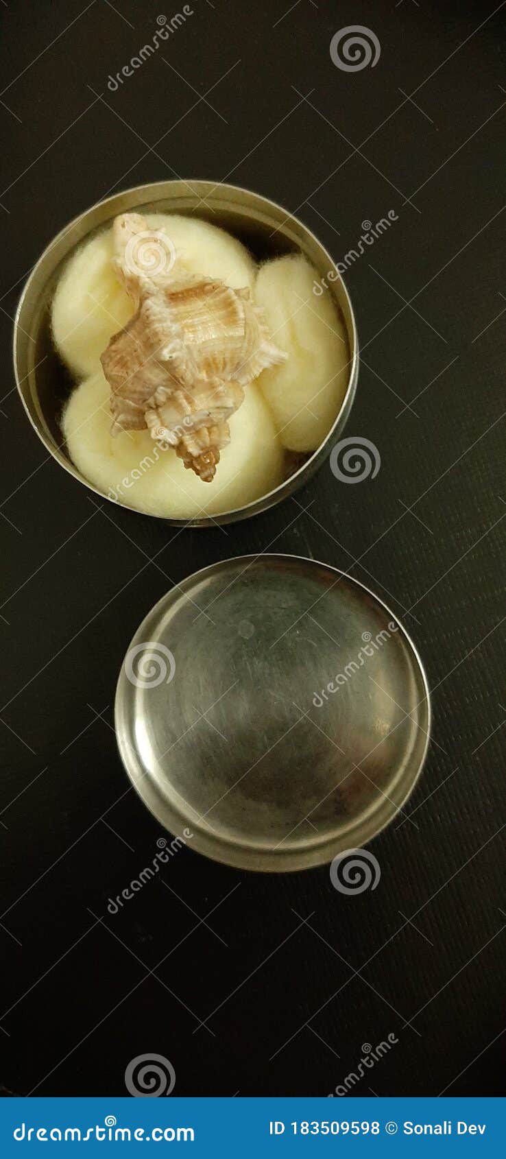 Conch in a small case stock photo. Image of icing, meal - 183509598