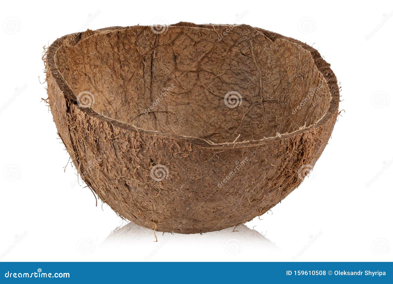 Concha de coco aislada foto de archivo. Imagen de truncamiento - 159610508