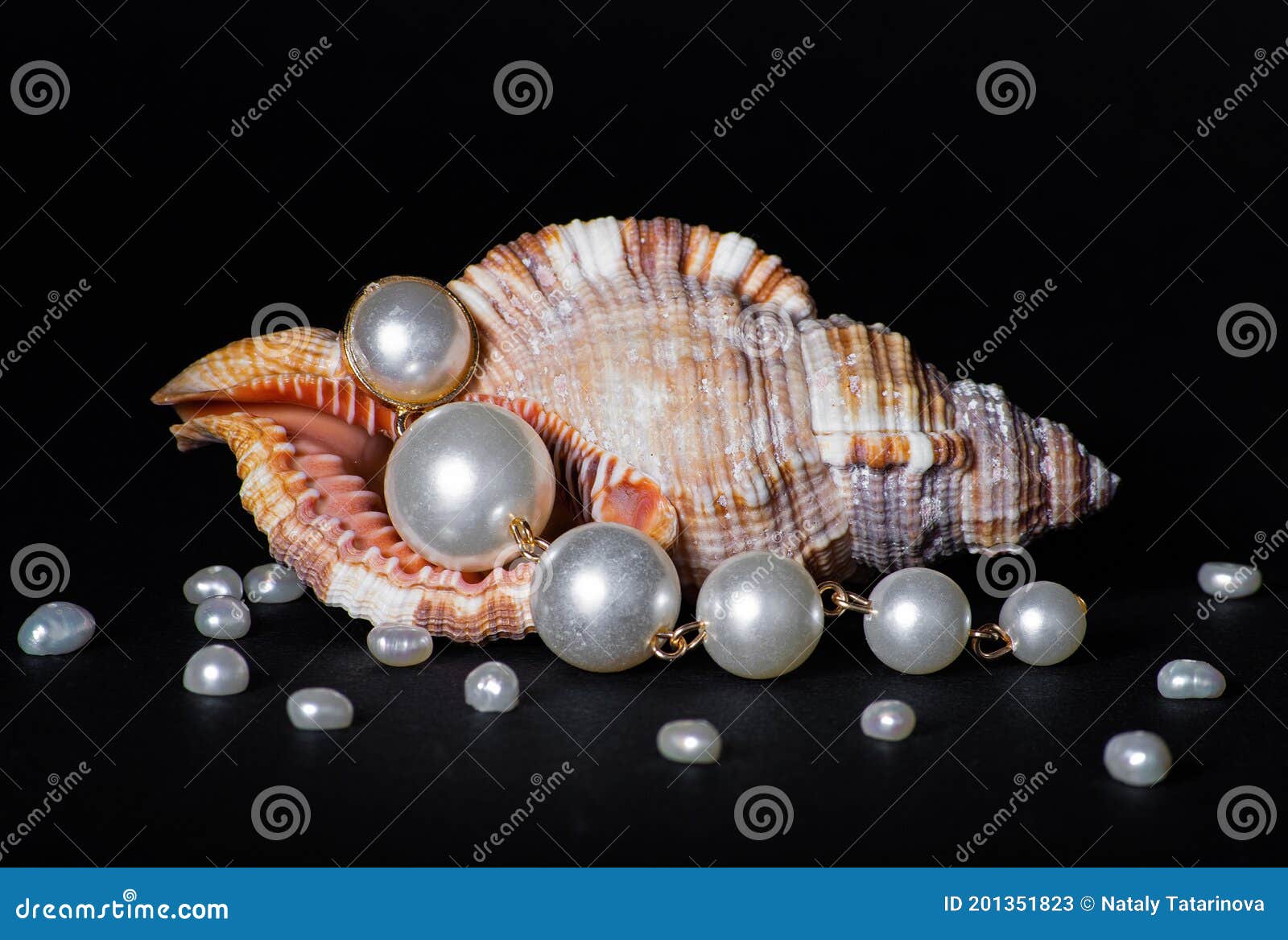 Concha De Mar Con Las Perlas Imagen de archivo - Imagen de colgante ...