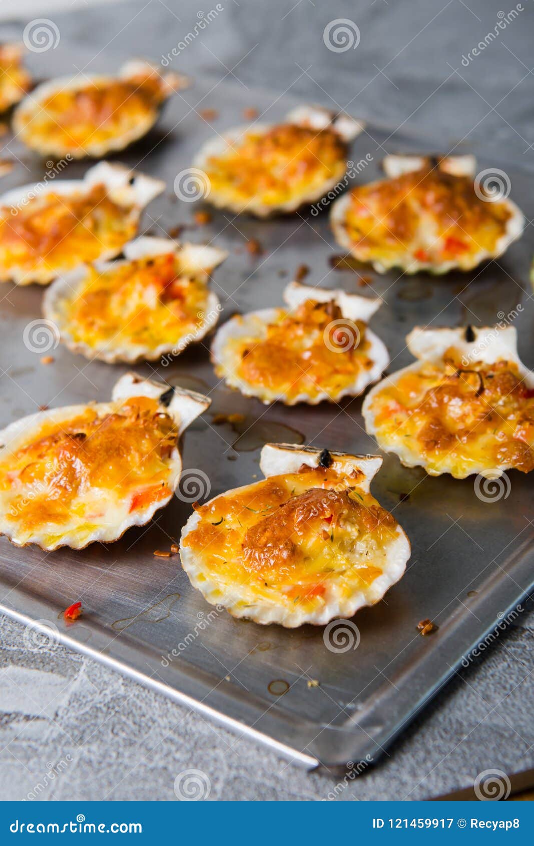 Concha De Peregrino Cocida Horno Imagen de archivo - Imagen de ...