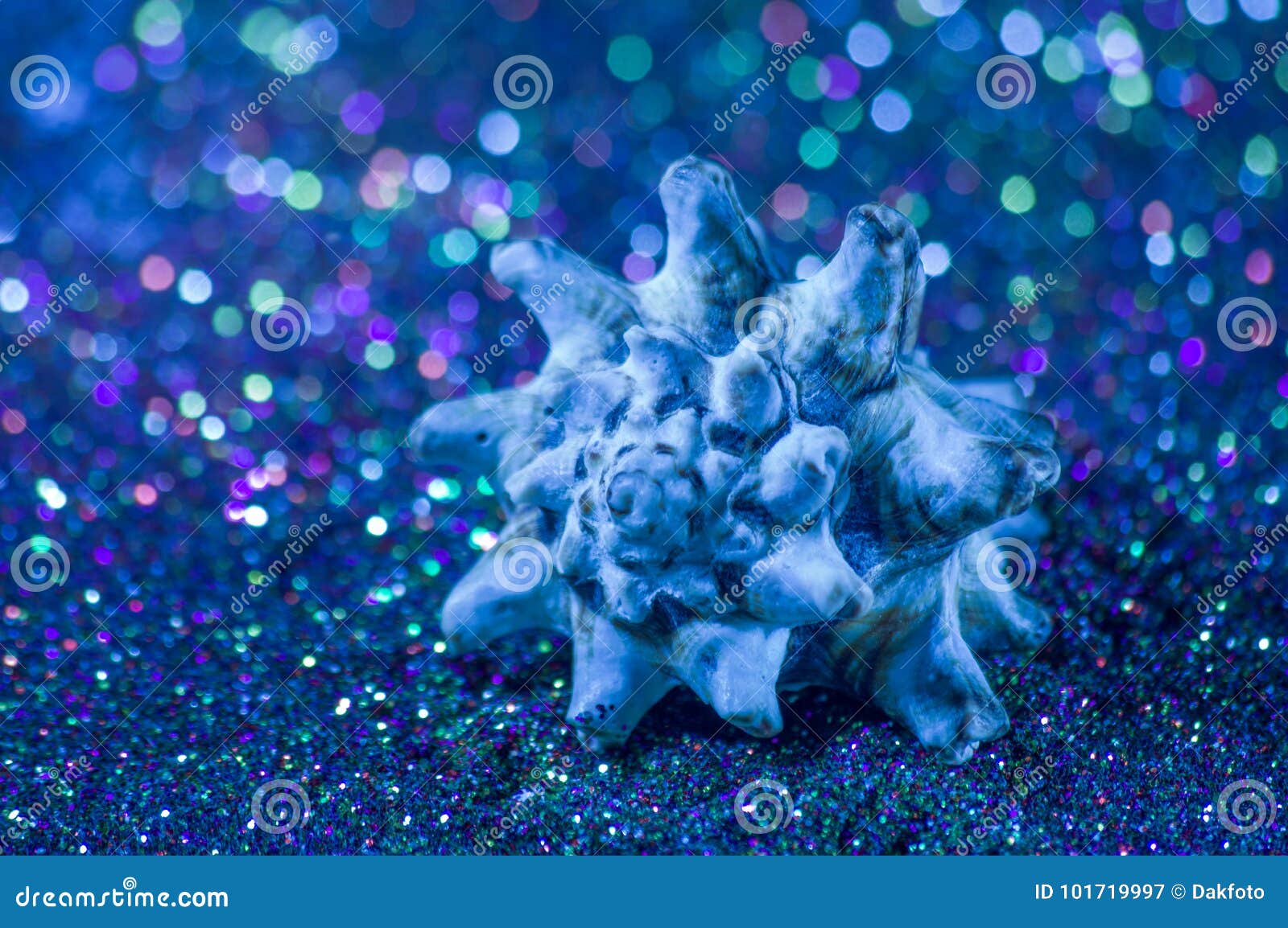 Concha Do Mar Azul Em Um Fundo Brilhante Imagem de Stock - Imagem de ...