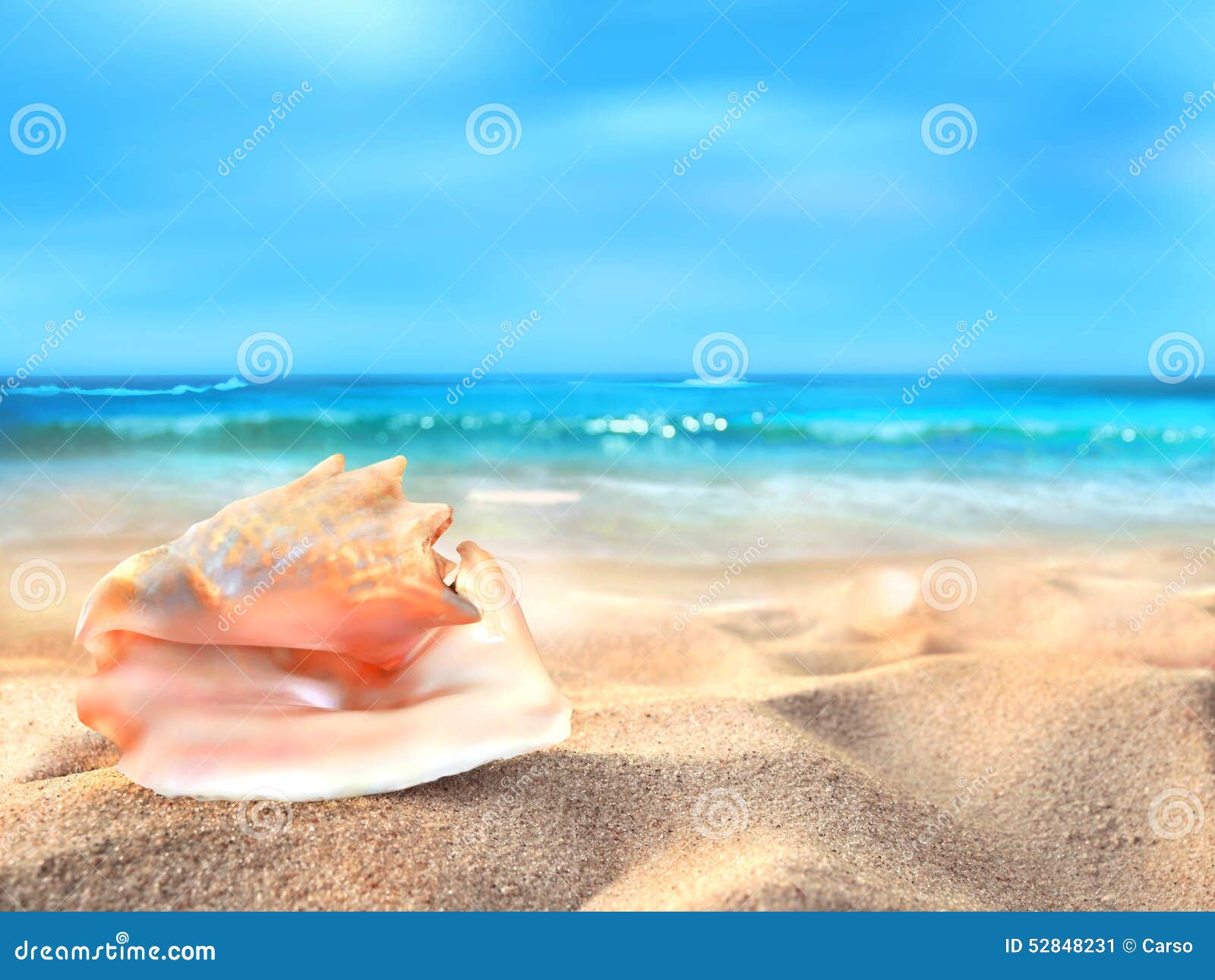 Concha do mar cor-de-rosa ilustração stock. Ilustração de feriado ...