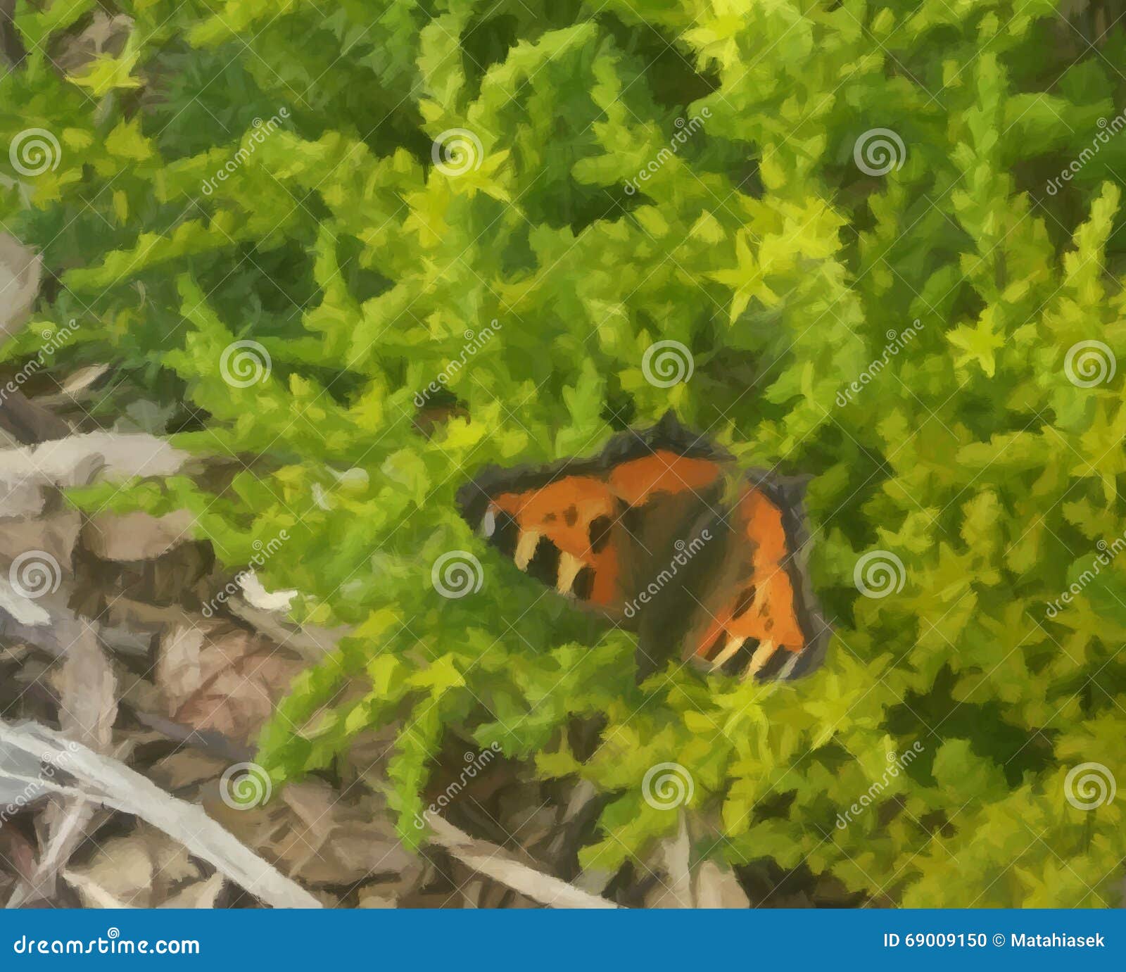 Concha Grande En La Planta De Roca Stock de ilustración - Ilustración ...