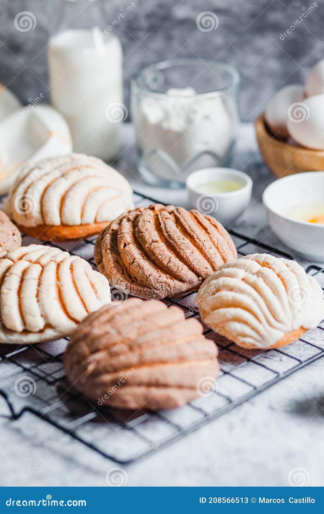 Concha Mexican Bread, Ingredients For Baking Traditional Conchas In ...