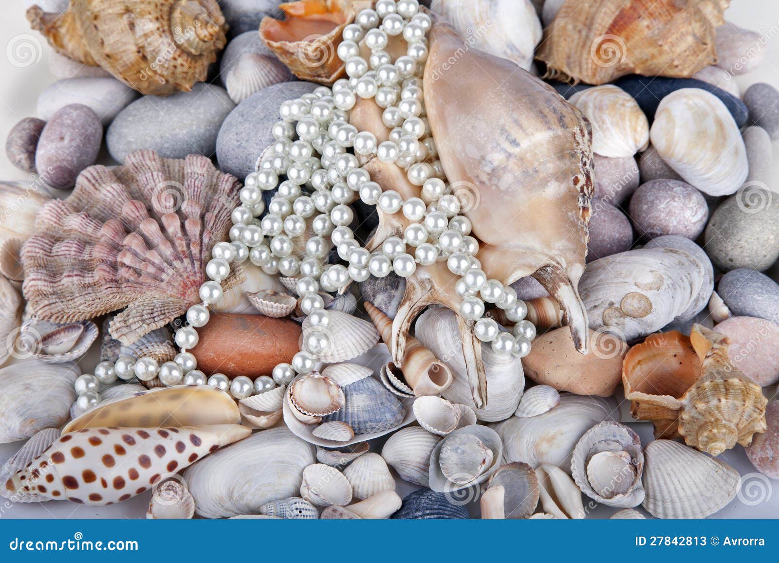 Conchas De Berberecho Y Perlas Del Mar Imagen de archivo - Imagen de ...