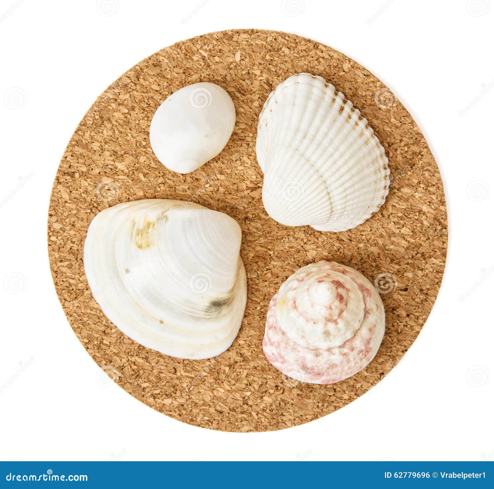 Conchas Do Mar Bonitas Na Base Circular Da Cortiça, Isolada Foto de ...
