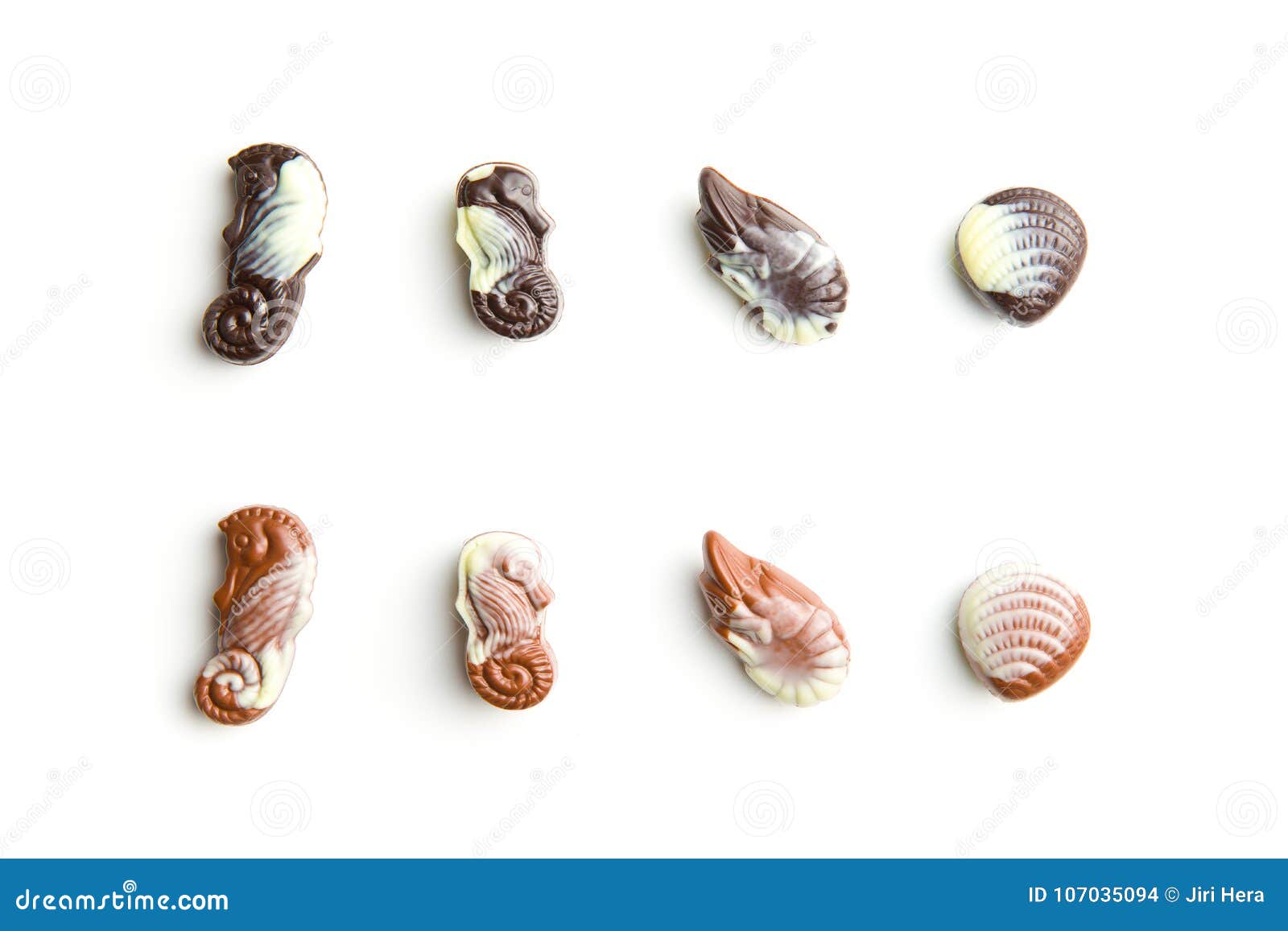 Conchas Do Mar Do Chocolate Doce Foto de Stock - Imagem de chocolate ...