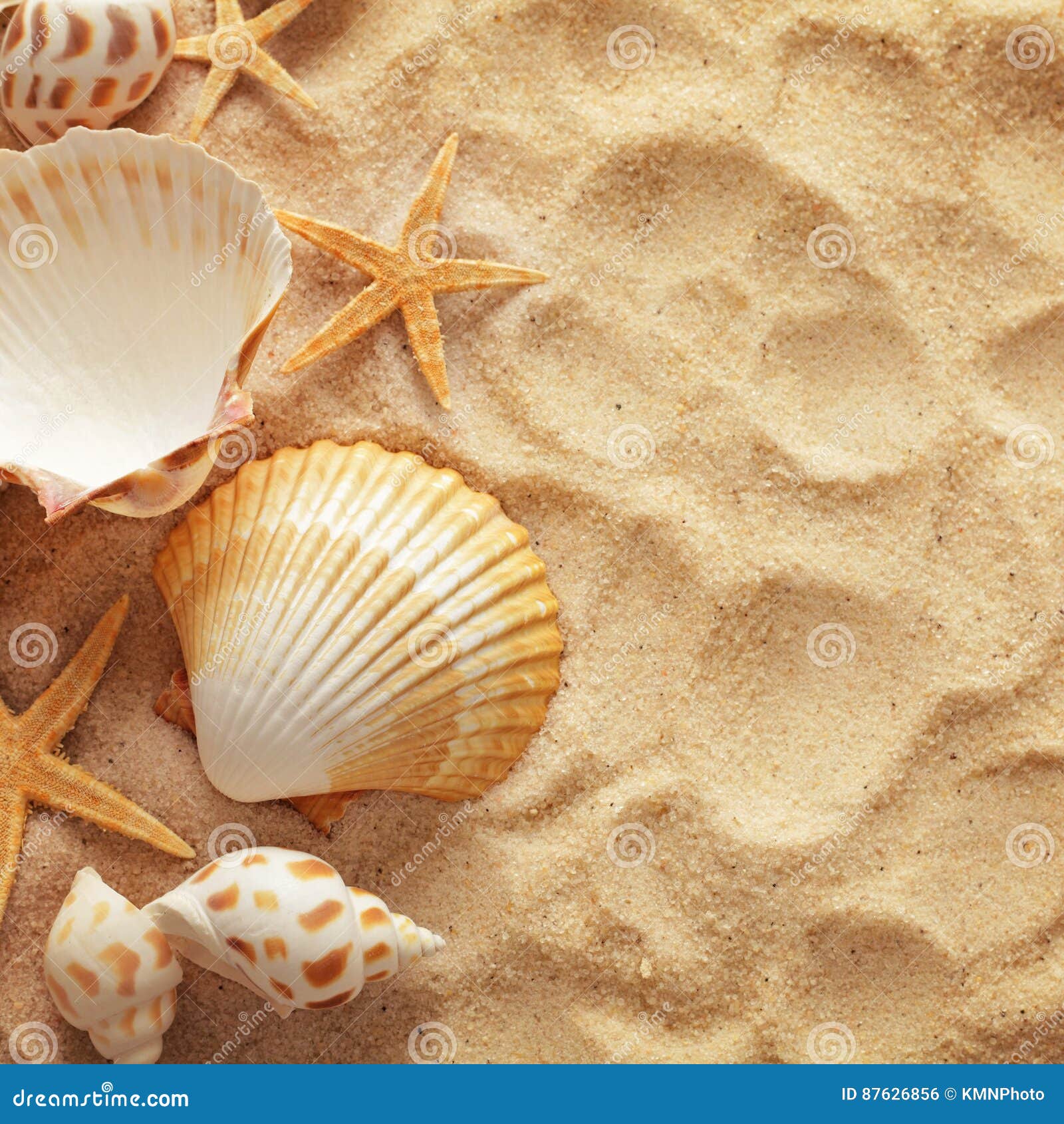 Conchas do mar e areia foto de stock. Imagem de quadro - 87626856