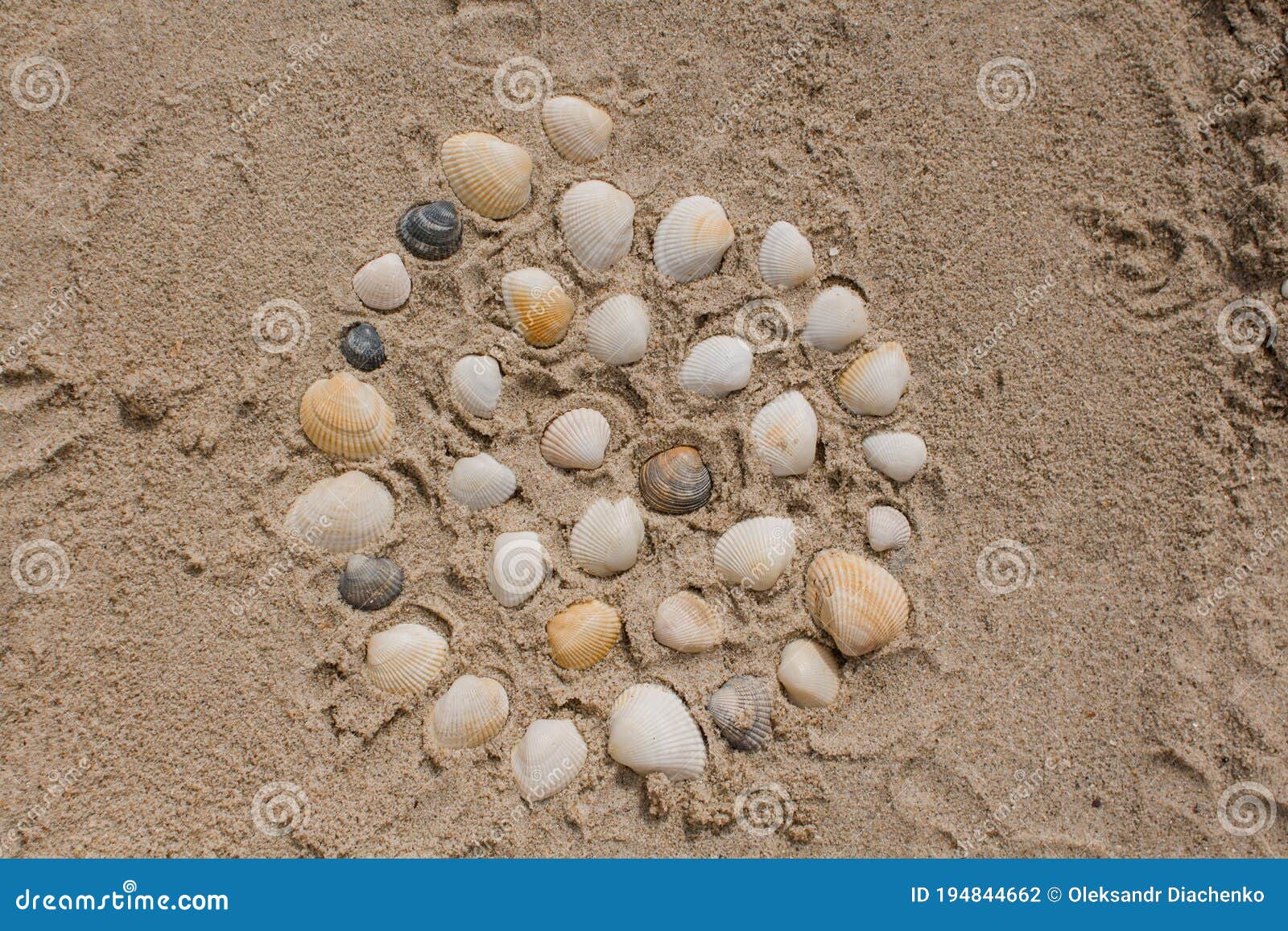 Conchas En La Arena a Orillas Del Mar Foto de archivo - Imagen de macro ...