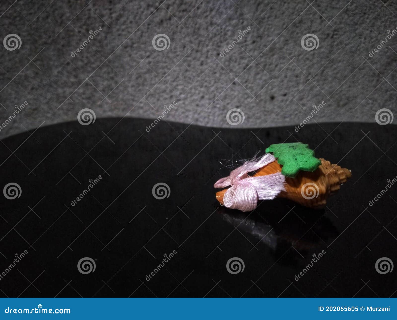 Conchas Marinas Del Mar Decoradas De Forma Bonita Imagen de archivo ...