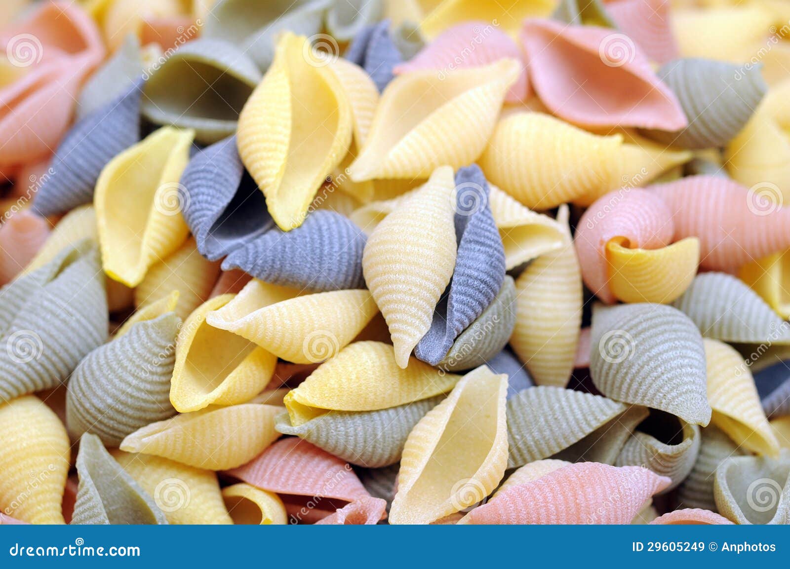 Conchiglie gourmet pasta stock image. Image of gourmet - 29605249