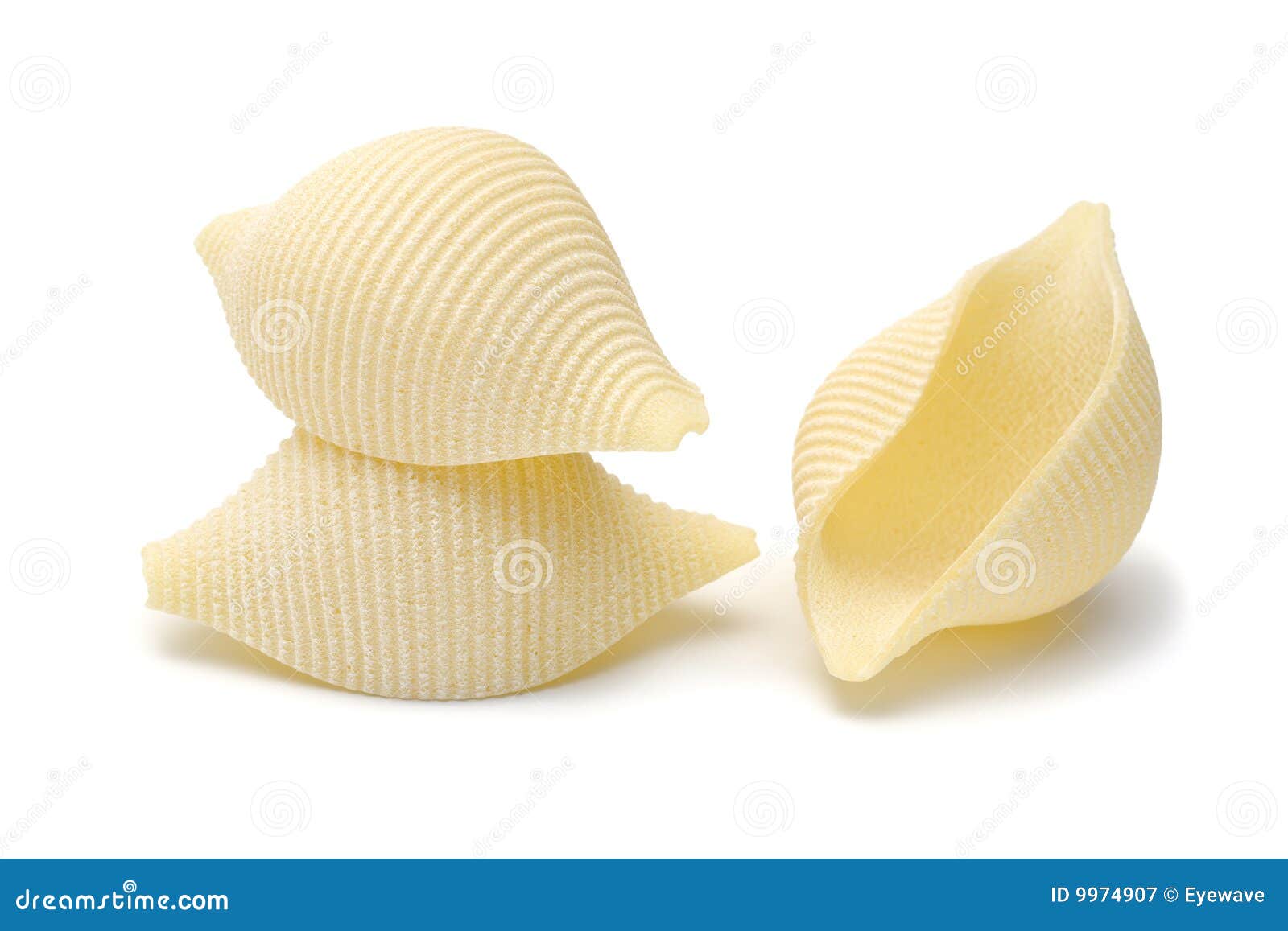 Conchiglie Pasta Isolated on White Stock Image - Image of isolated ...