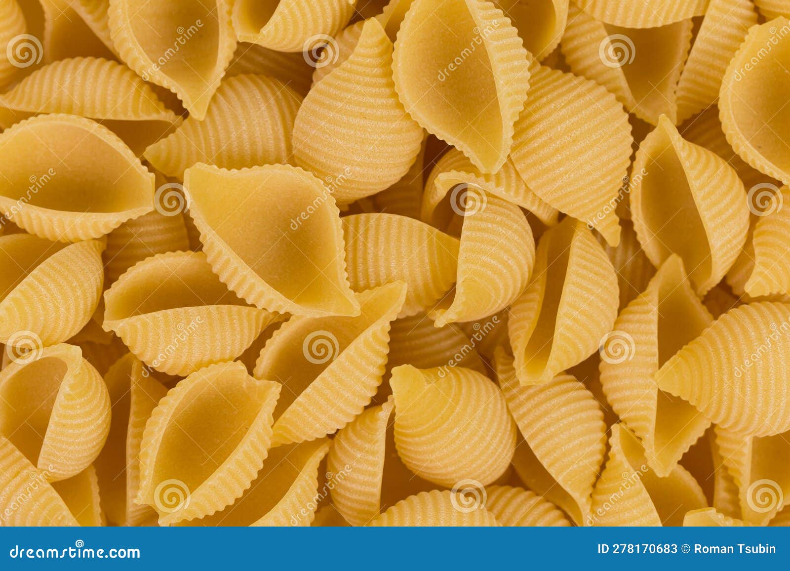 Conchiglie pasta shell stock image. Image of lunch, conchiglie - 278170683