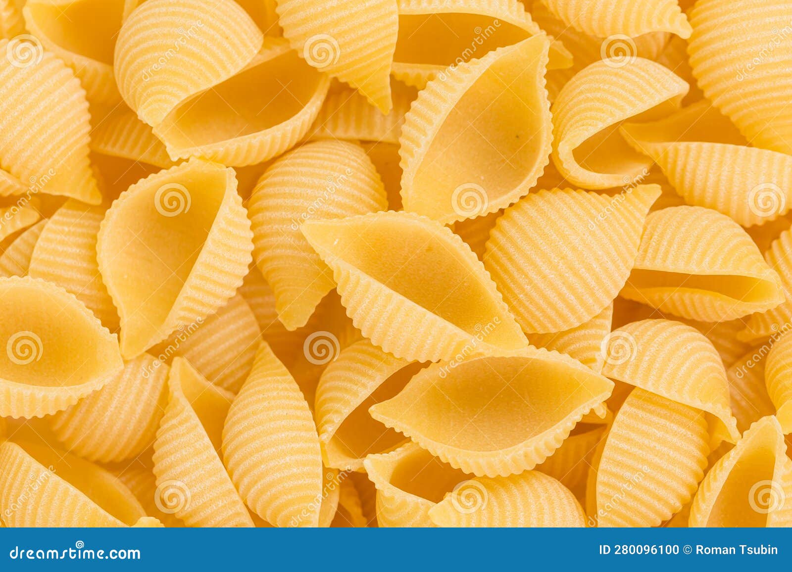 Conchiglie pasta shell stock photo. Image of shell, foodstuff - 280096100