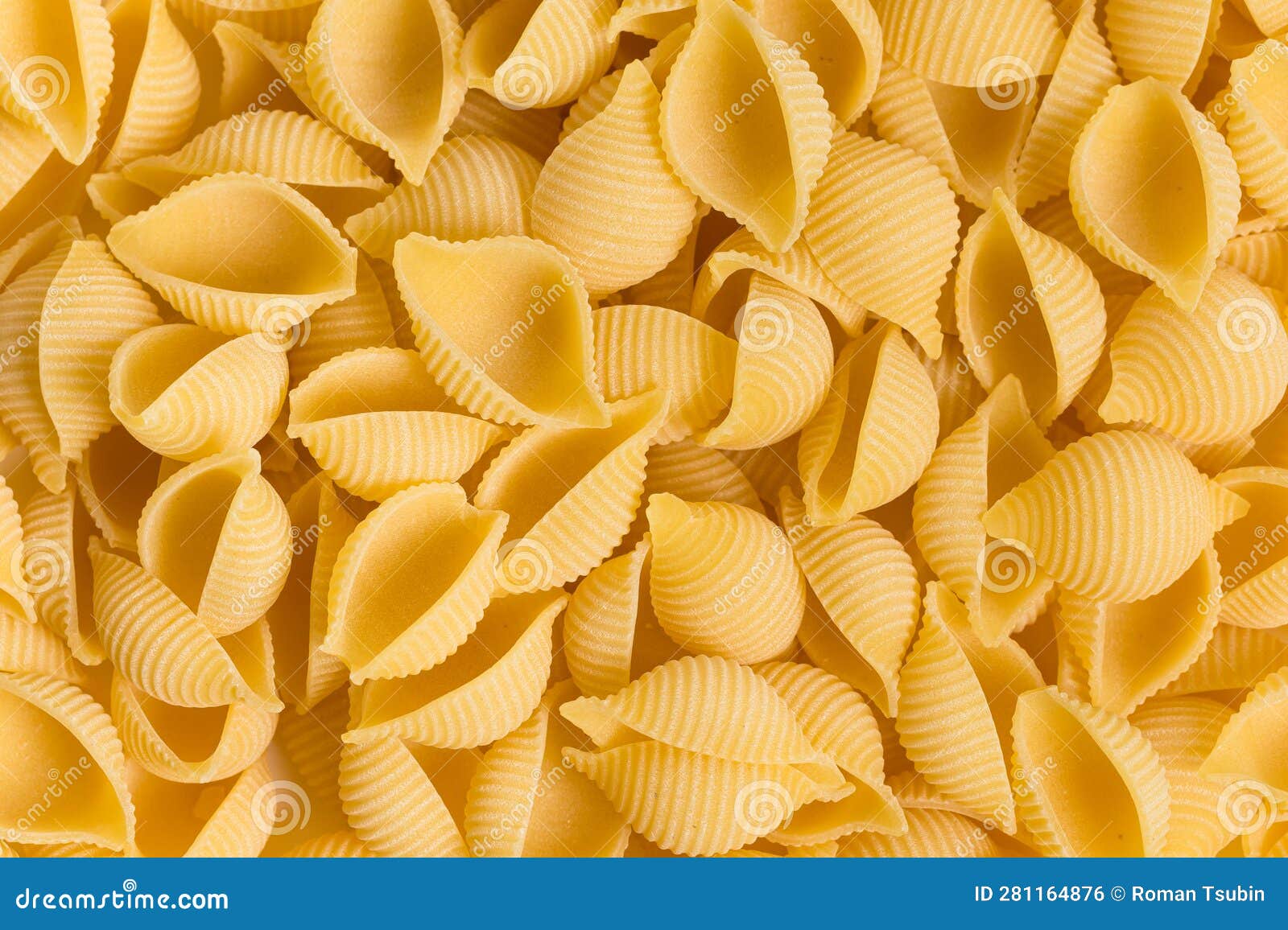 Conchiglie pasta shell stock photo. Image of white, yellow - 281164876