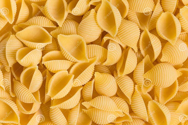 Conchiglie pasta shell stock photo. Image of white, yellow - 281164876