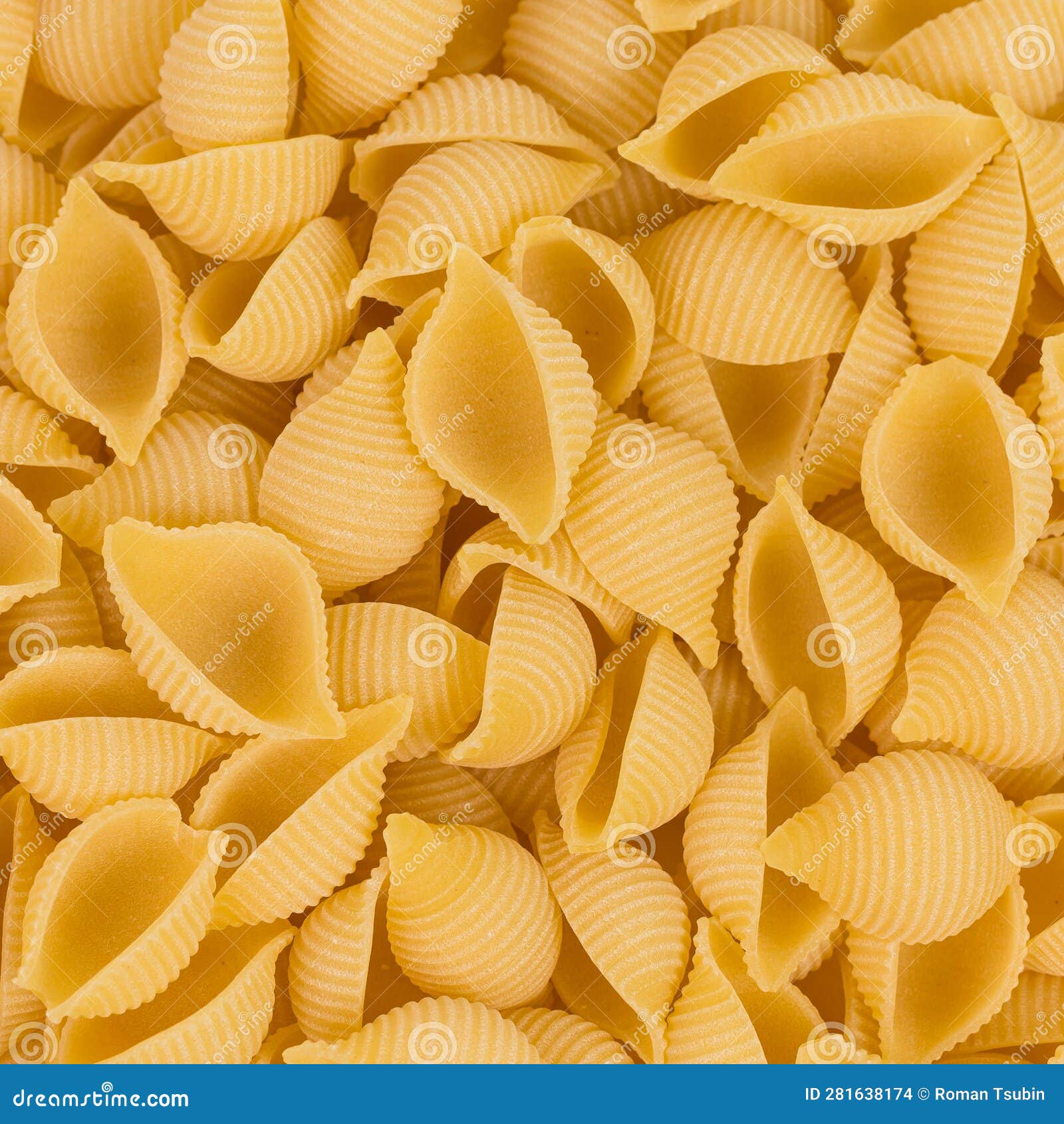 Conchiglie pasta shell stock photo. Image of spaghetti - 281638174
