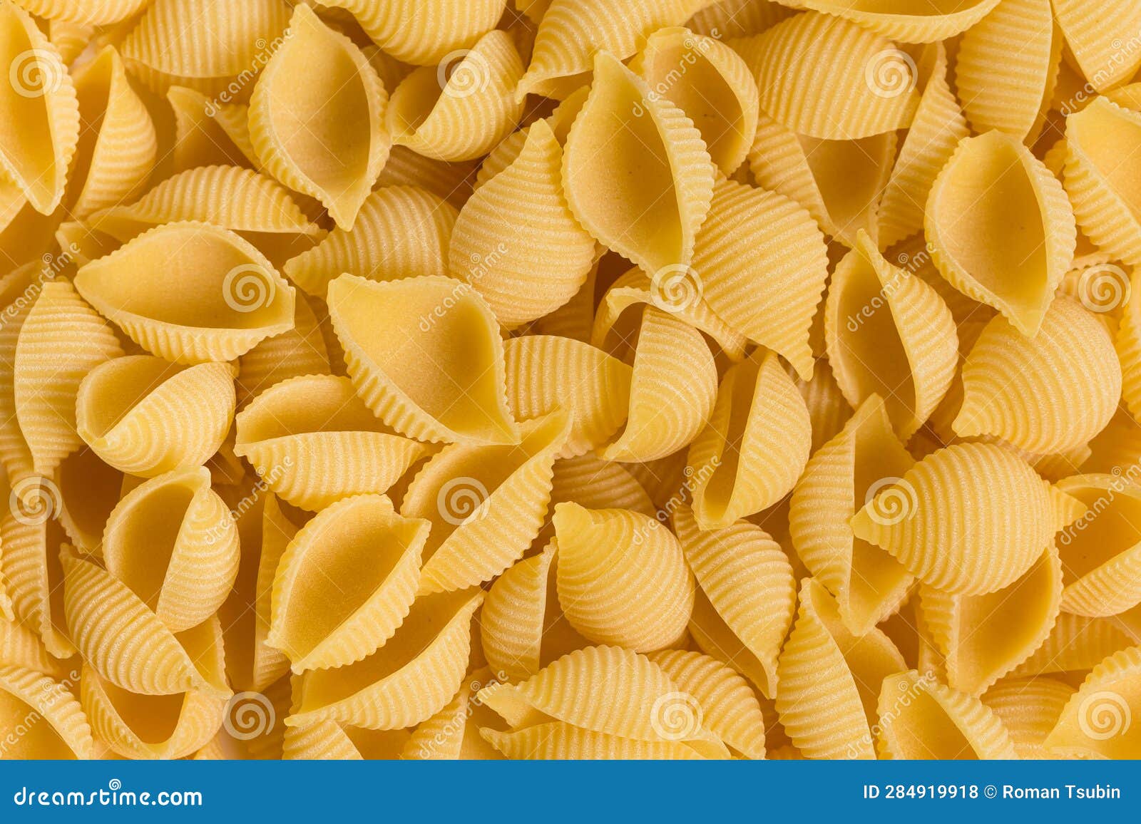 Conchiglie pasta shell stock photo. Image of dried, culinary - 284919918