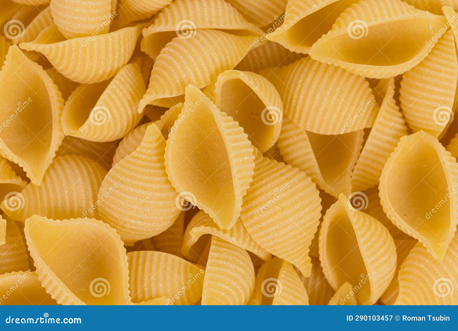 Conchiglie pasta shell stock image. Image of healthy - 290103457