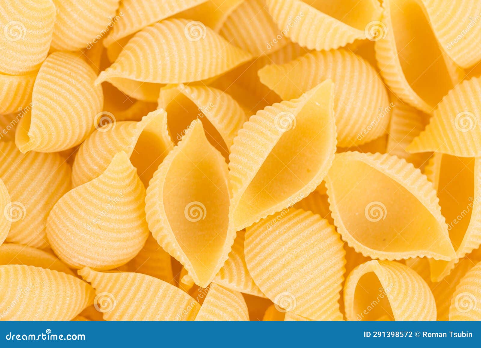Conchiglie pasta shell stock photo. Image of noodle - 291398572