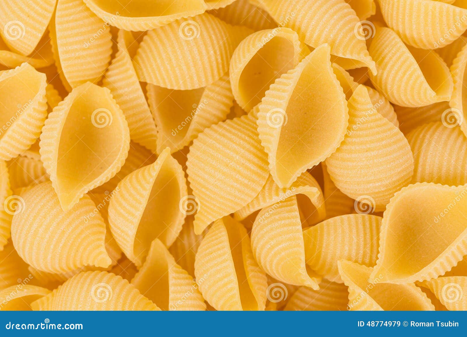 Conchiglie pasta shell stock image. Image of healthy - 48774979