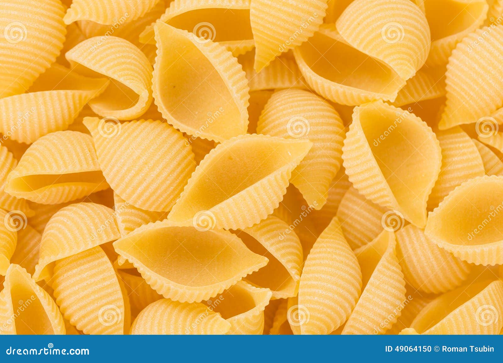 Conchiglie pasta shell stock photo. Image of meal, lunch - 49064150