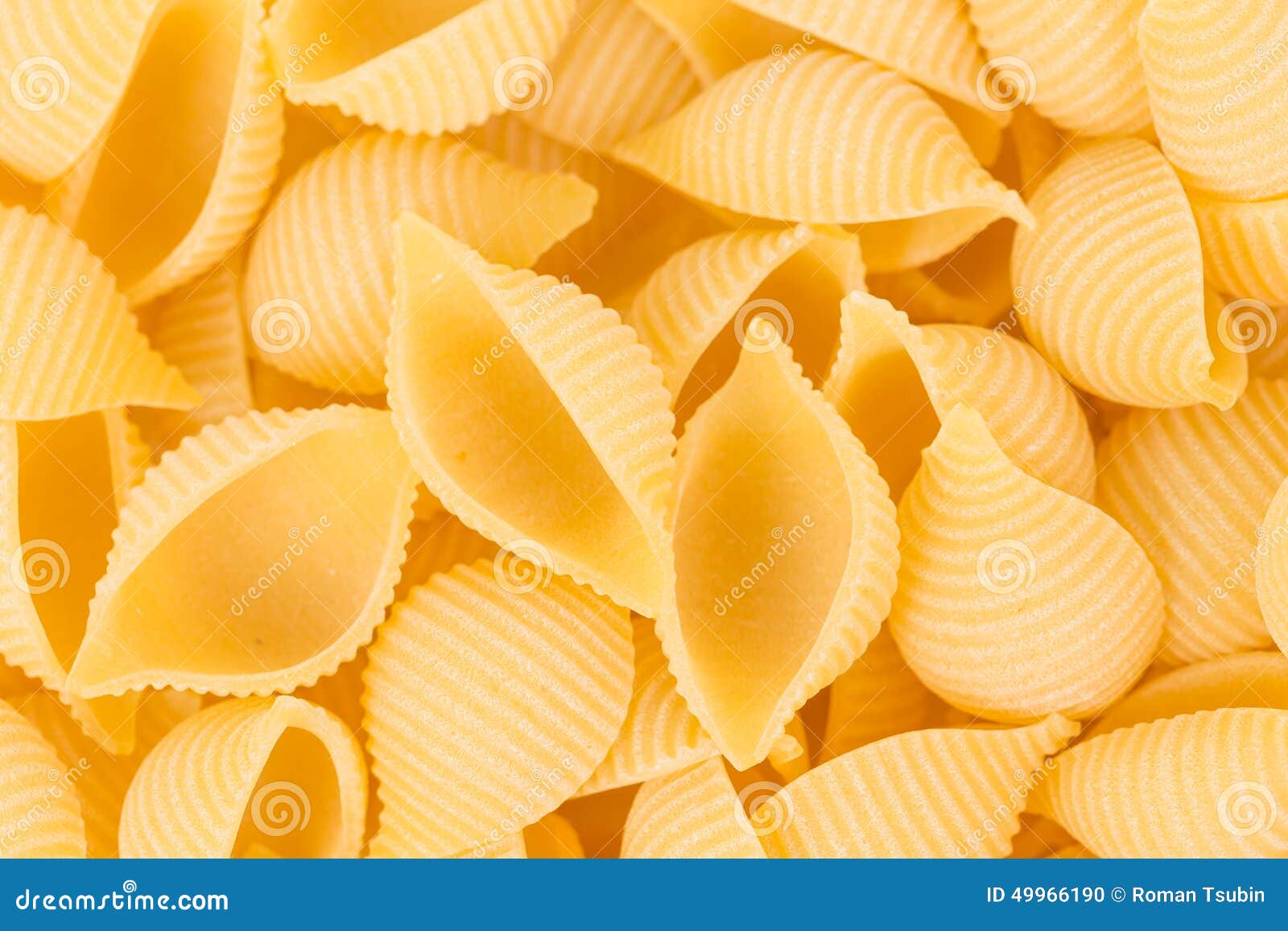 Conchiglie pasta shell stock photo. Image of italian - 49966190