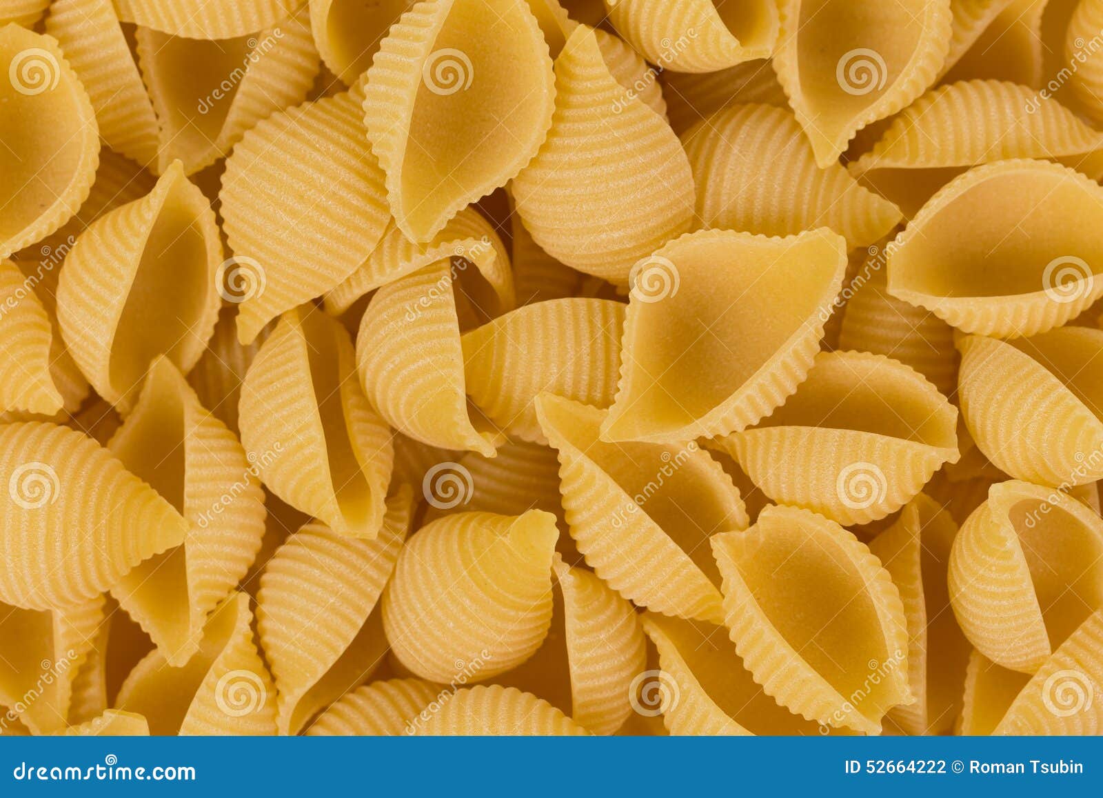 Conchiglie pasta shell stock photo. Image of dried, white - 52664222